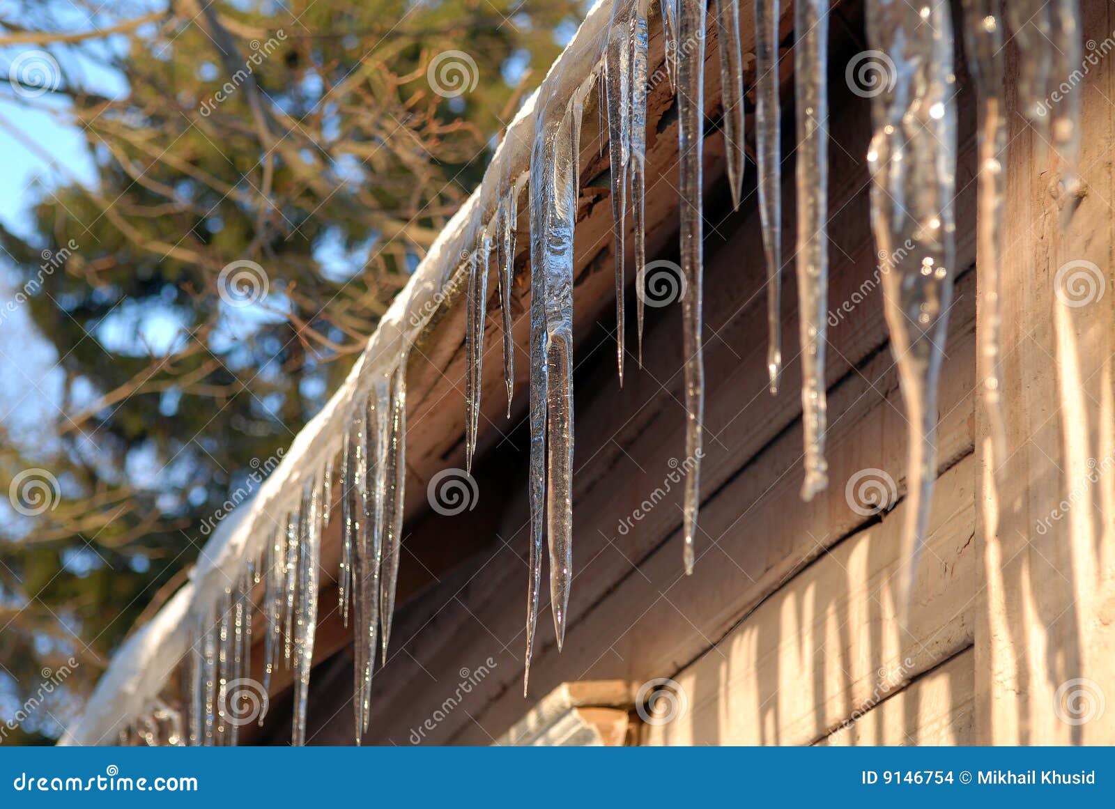 Icicles stock photo. Image of snow, cold, frozen, brown - 9146754