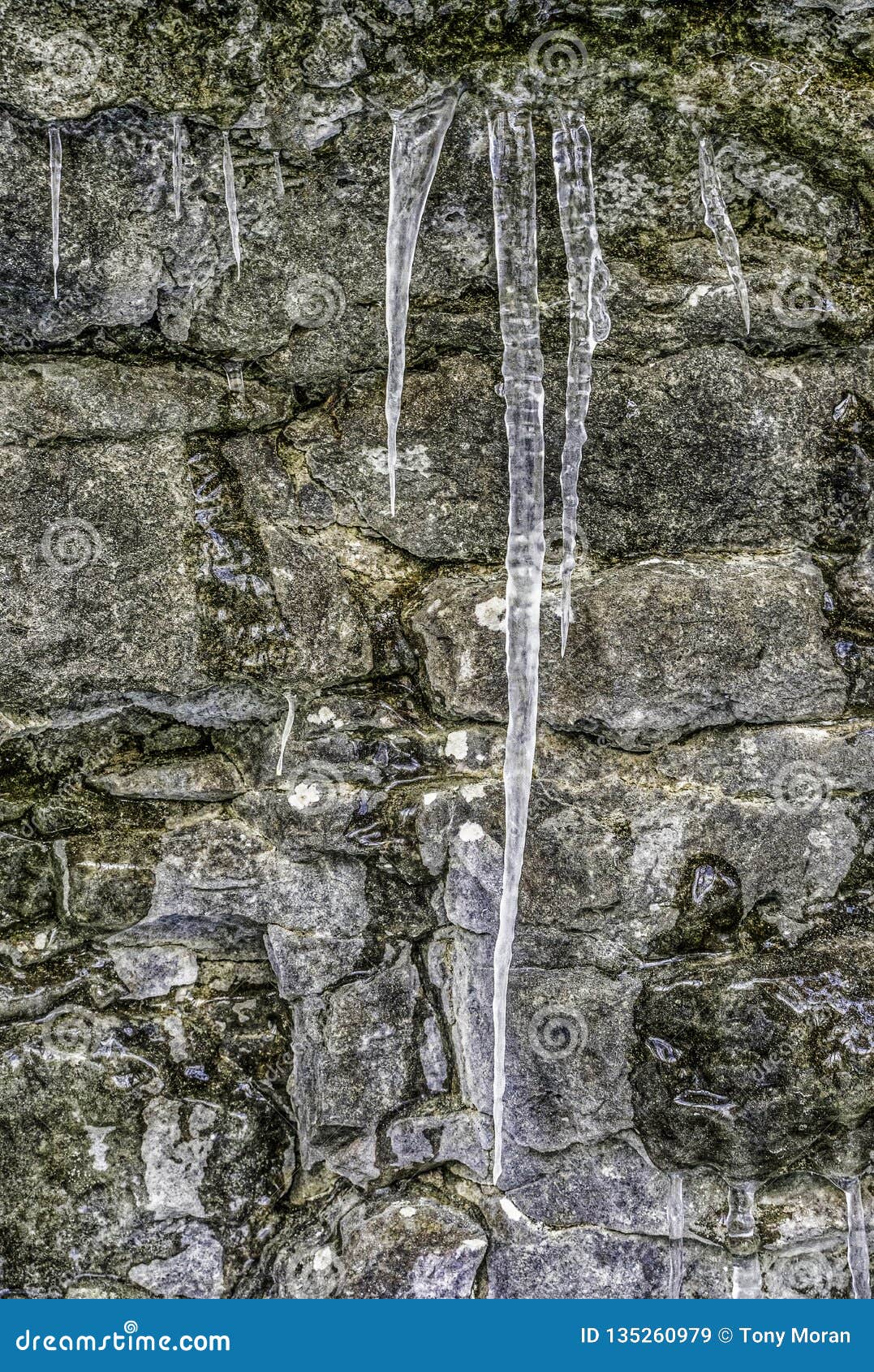 Icicles on a Rock Cliff Face in Late Fall Stock Image - Image of woods ...