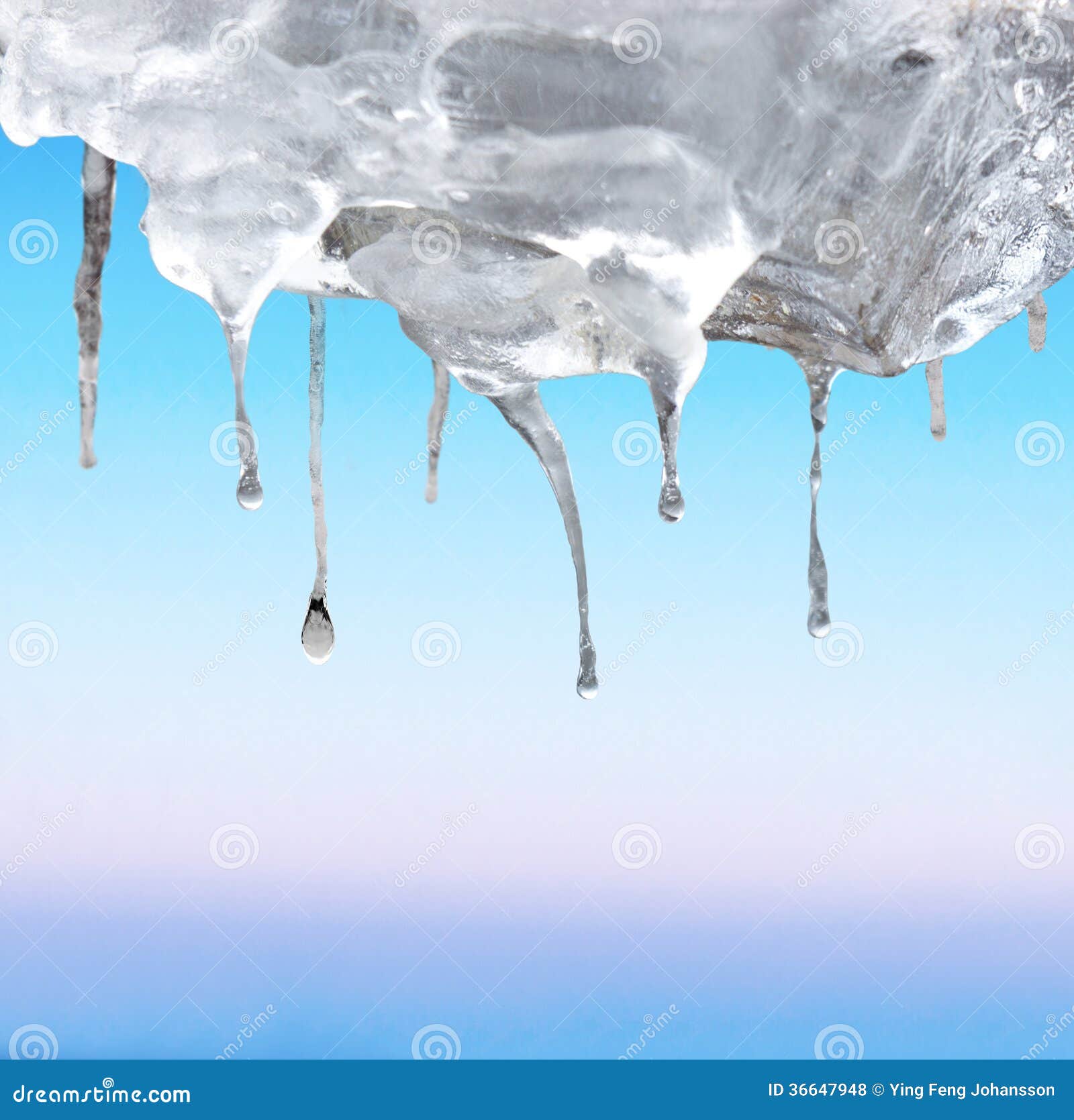 Icicles stock photo. Image of icicle, white, drop, frozen - 36647948
