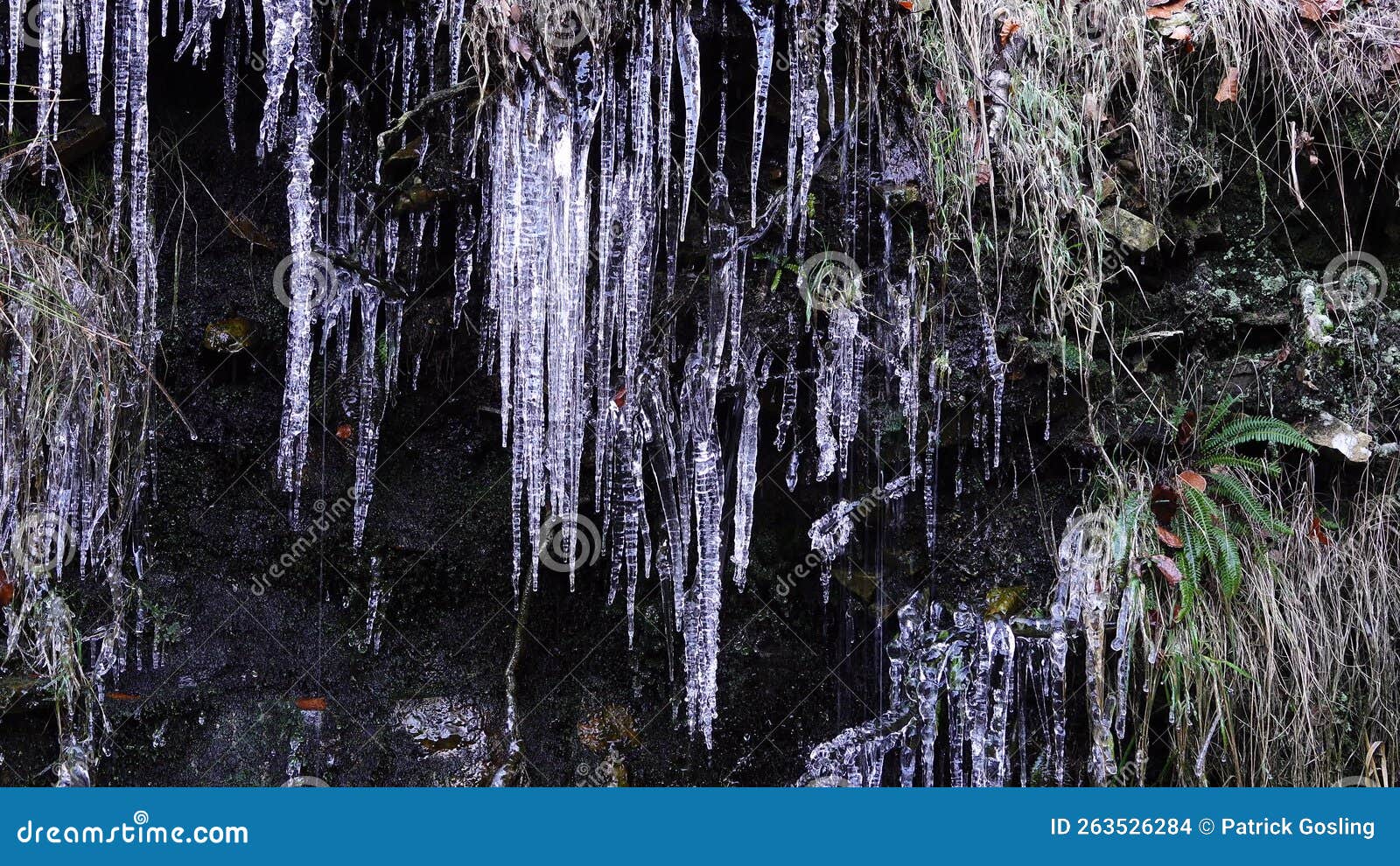 Icicles with Dripping Water. Stock Footage - Video of water, icicles ...