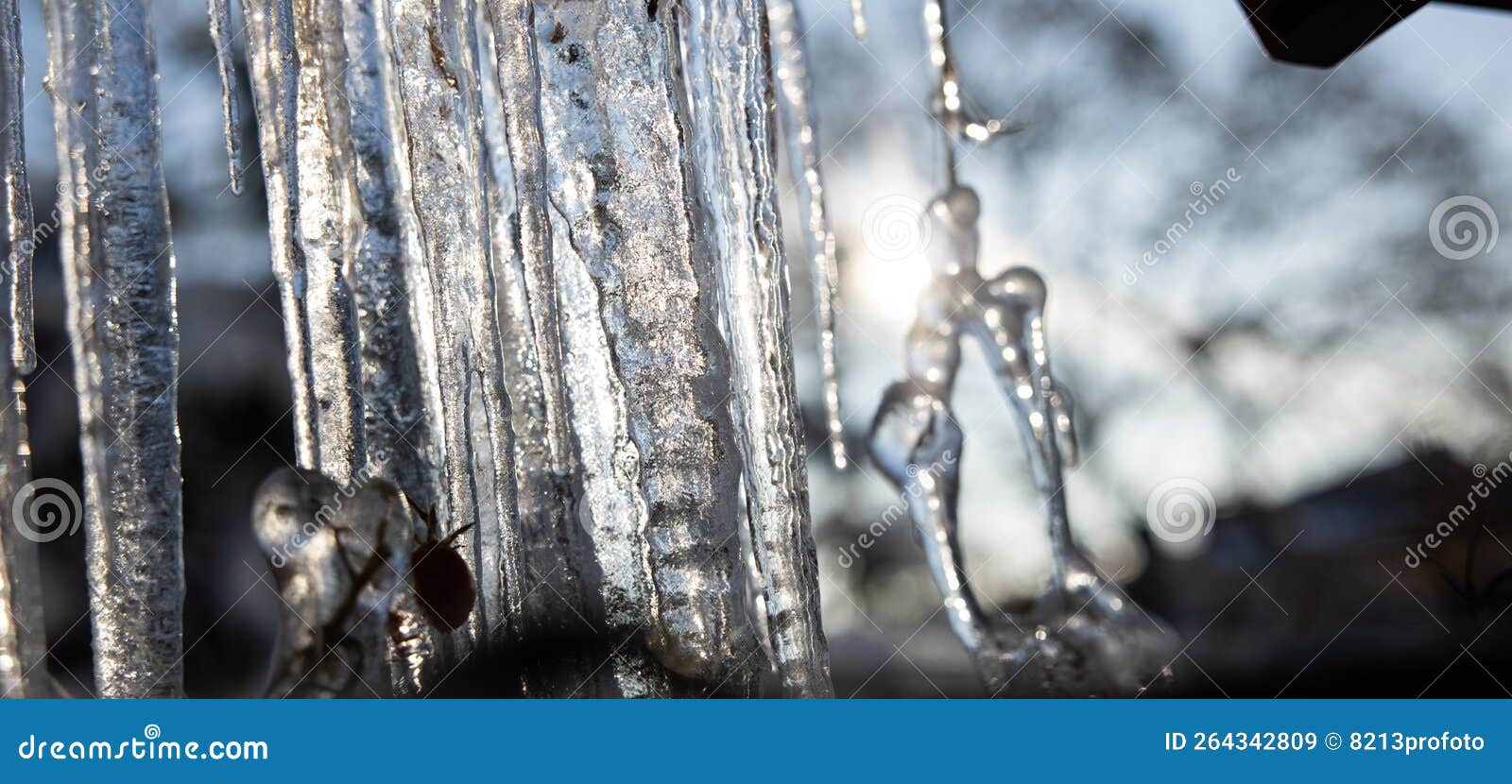 Icicles and a Drop of Melt Water Close-up. Snow Melting. Stock Image ...