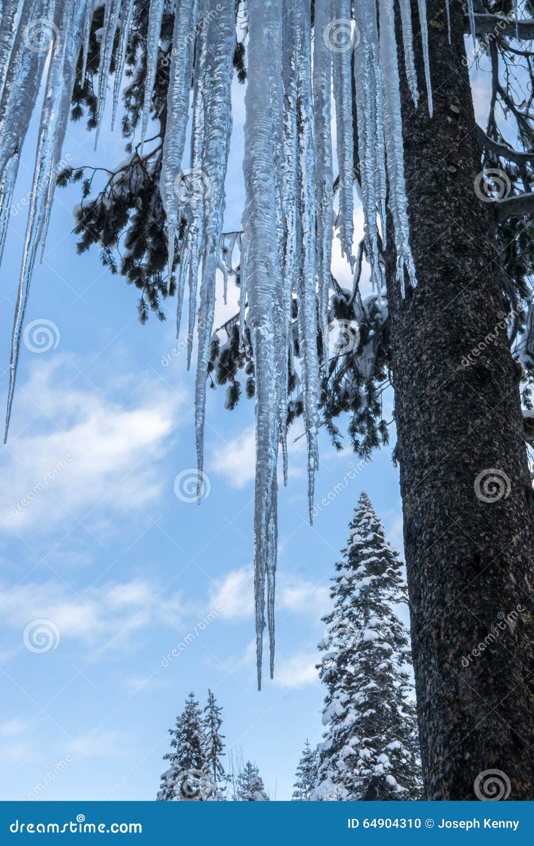 Icicles, Forest stock photo. Image of clouds, detail - 64904310