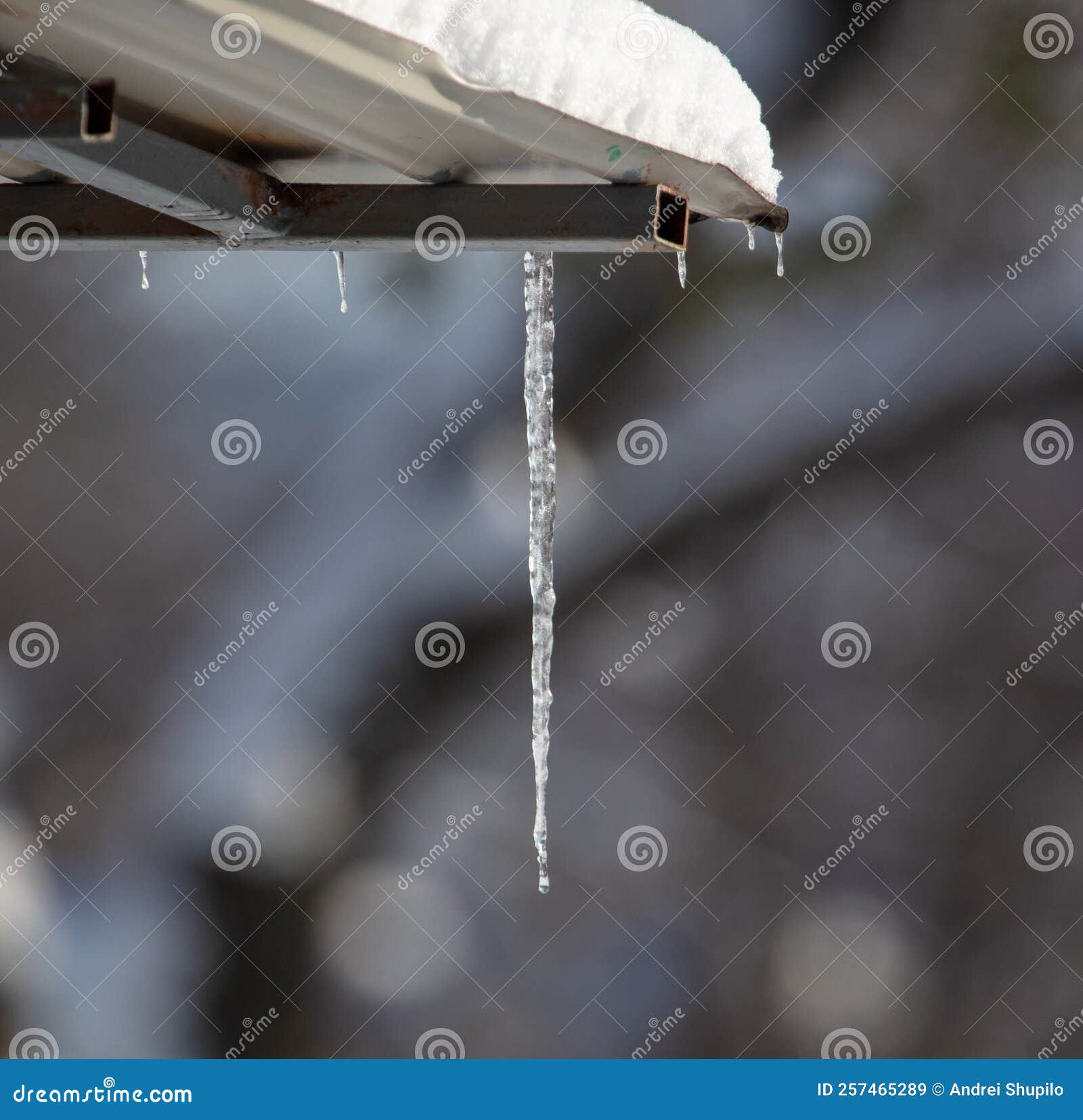 Icicles Hang from the Roof of the House. Stock Image - Image of froze ...
