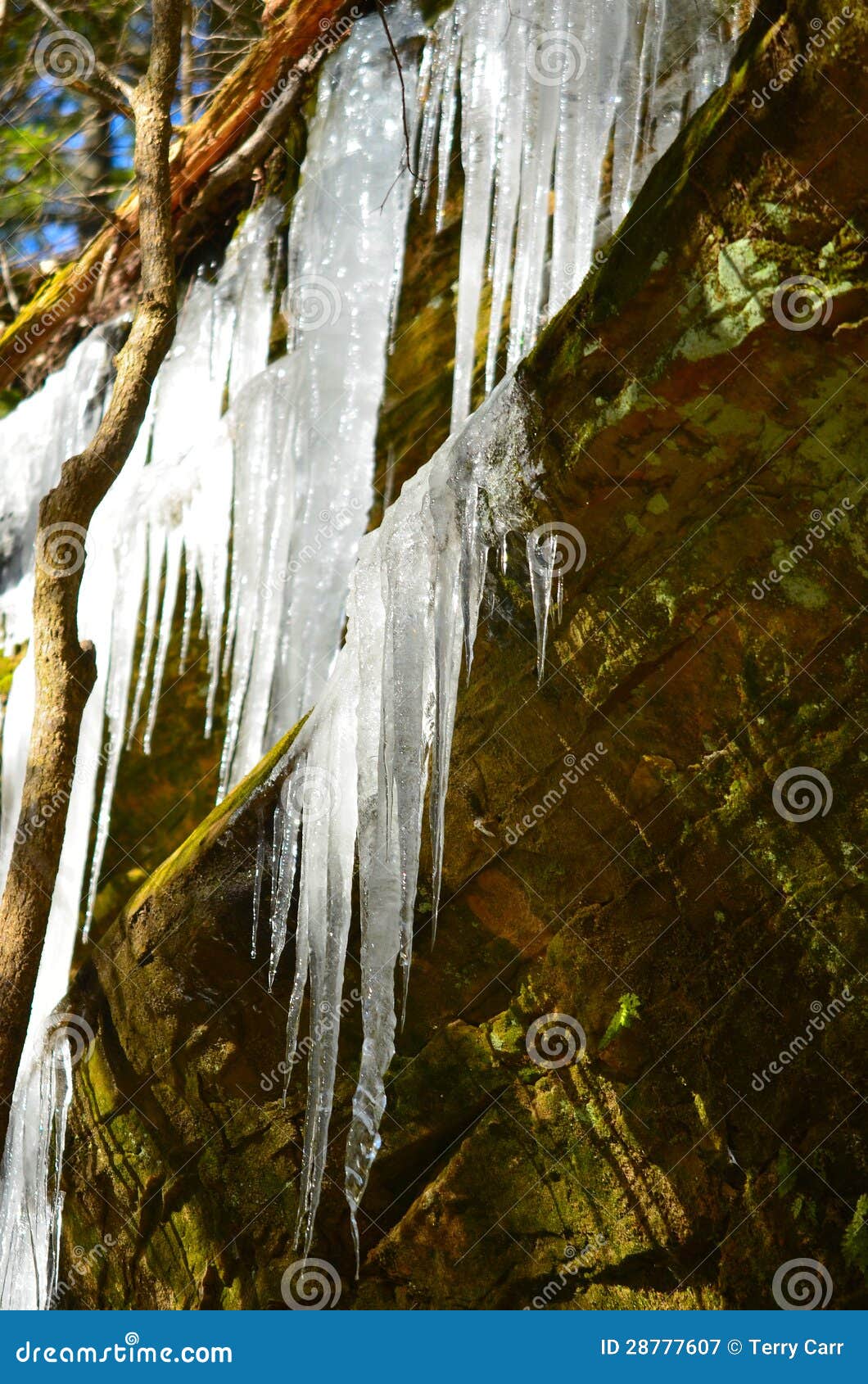 Icicles hanging from rocks stock image. Image of forest - 28777607
