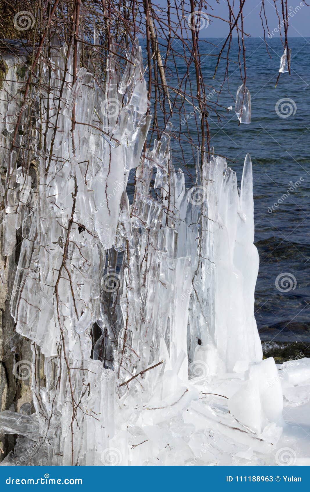 Icicles Hanging from Tree Branches Stock Image - Image of heat, hanging ...