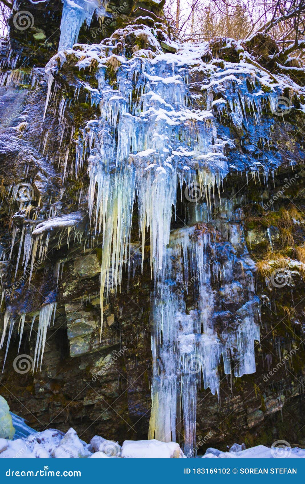 Icicles Inside of the Forest Stock Photo - Image of weather, cold ...