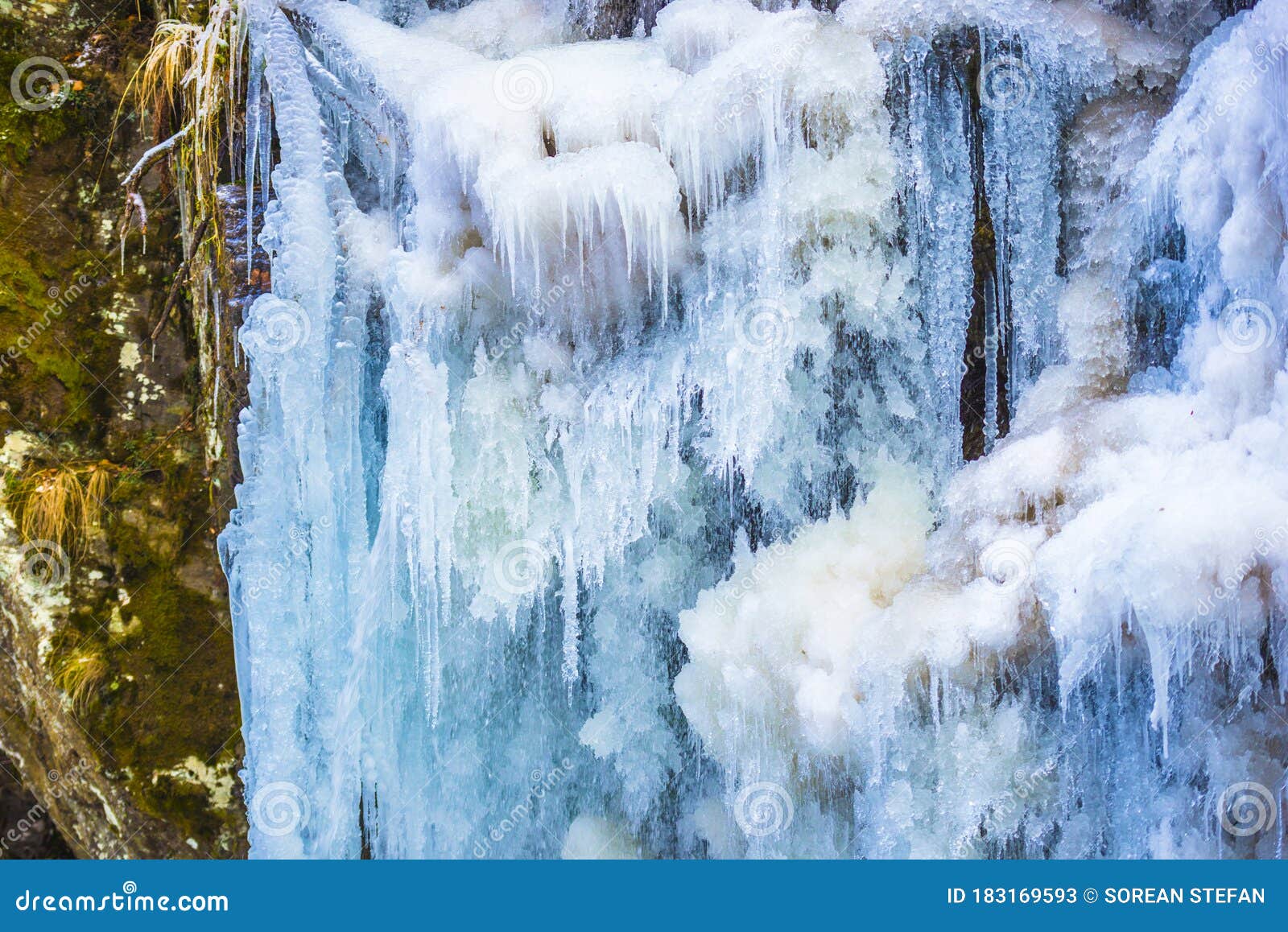 Icicles Inside of the Forest Stock Image - Image of scenery, nature ...