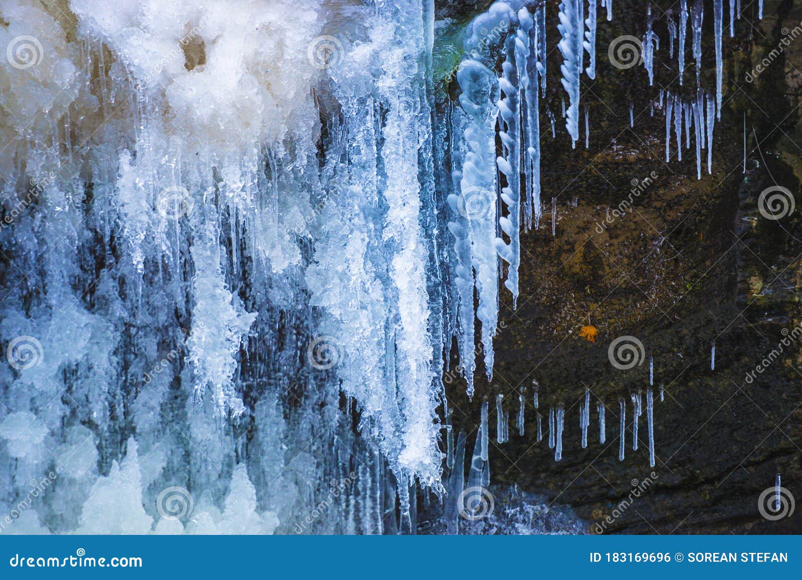Icicles Inside of the Forest Stock Photo - Image of weather, macro ...