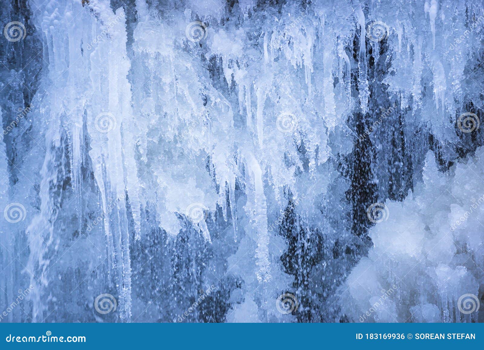Icicles Inside of the Forest Stock Photo - Image of scenery, natural ...