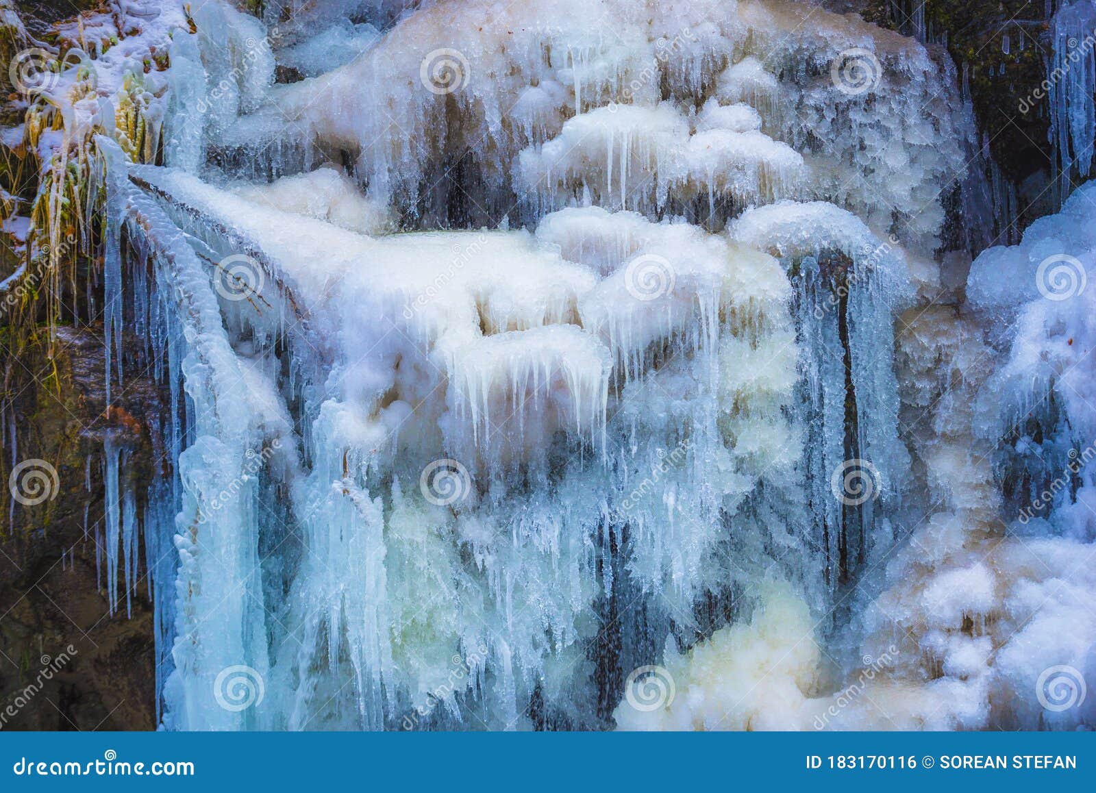 Icicles Inside of the Forest Stock Photo - Image of natural, plant ...