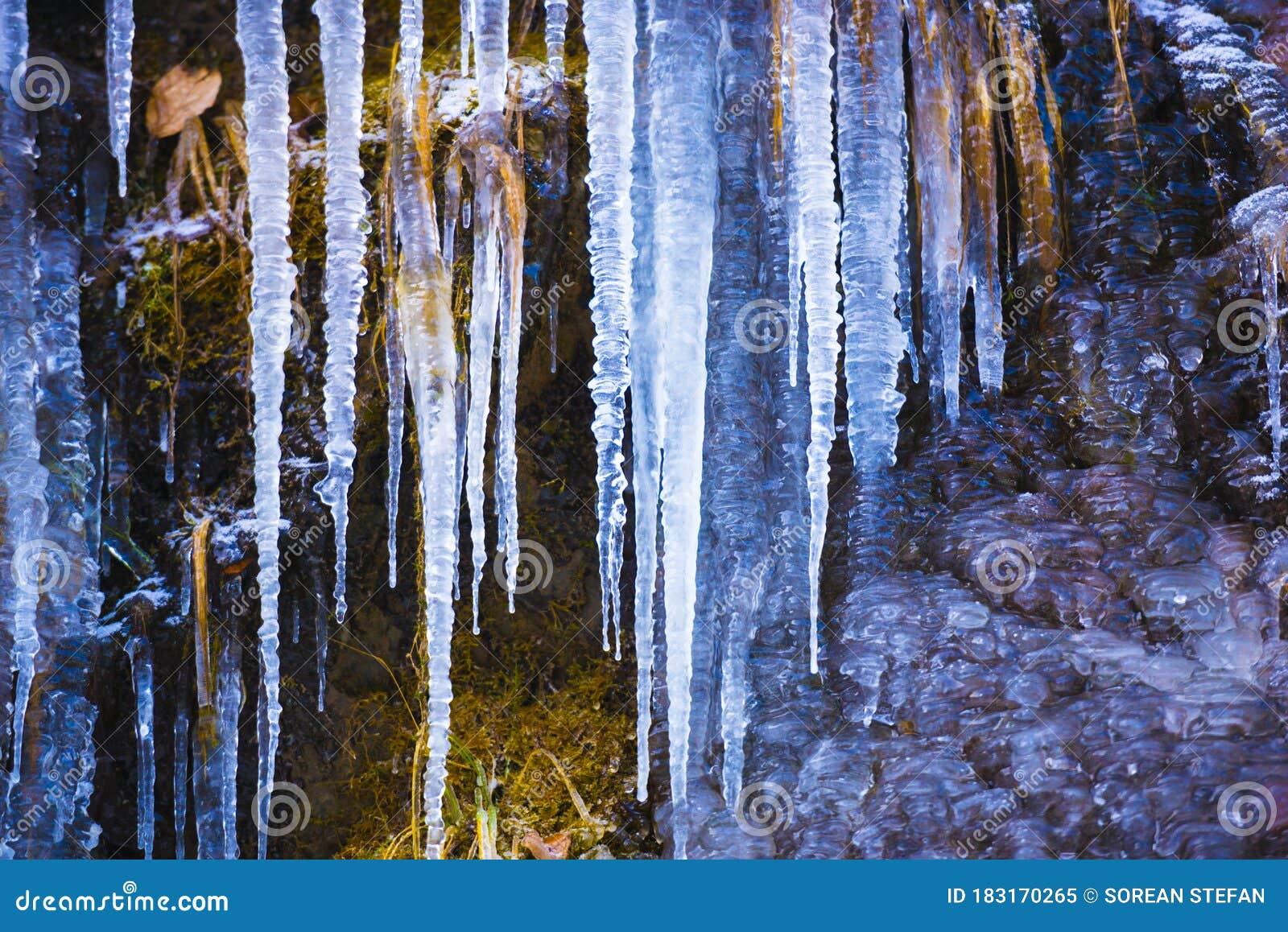 Icicles Inside of the Forest Stock Image - Image of white, river: 183170265