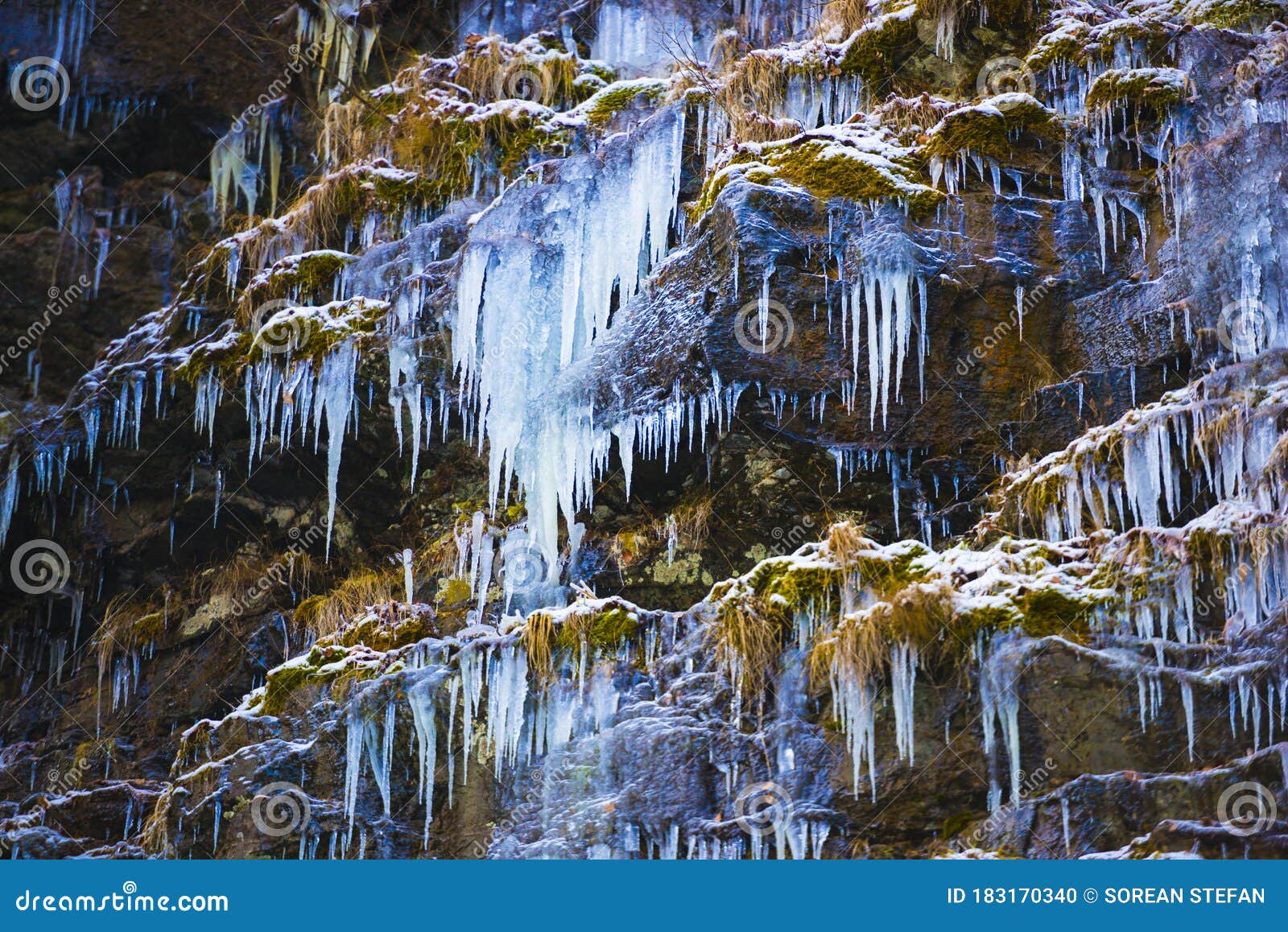 Icicles Inside of the Forest Stock Photo - Image of environment ...