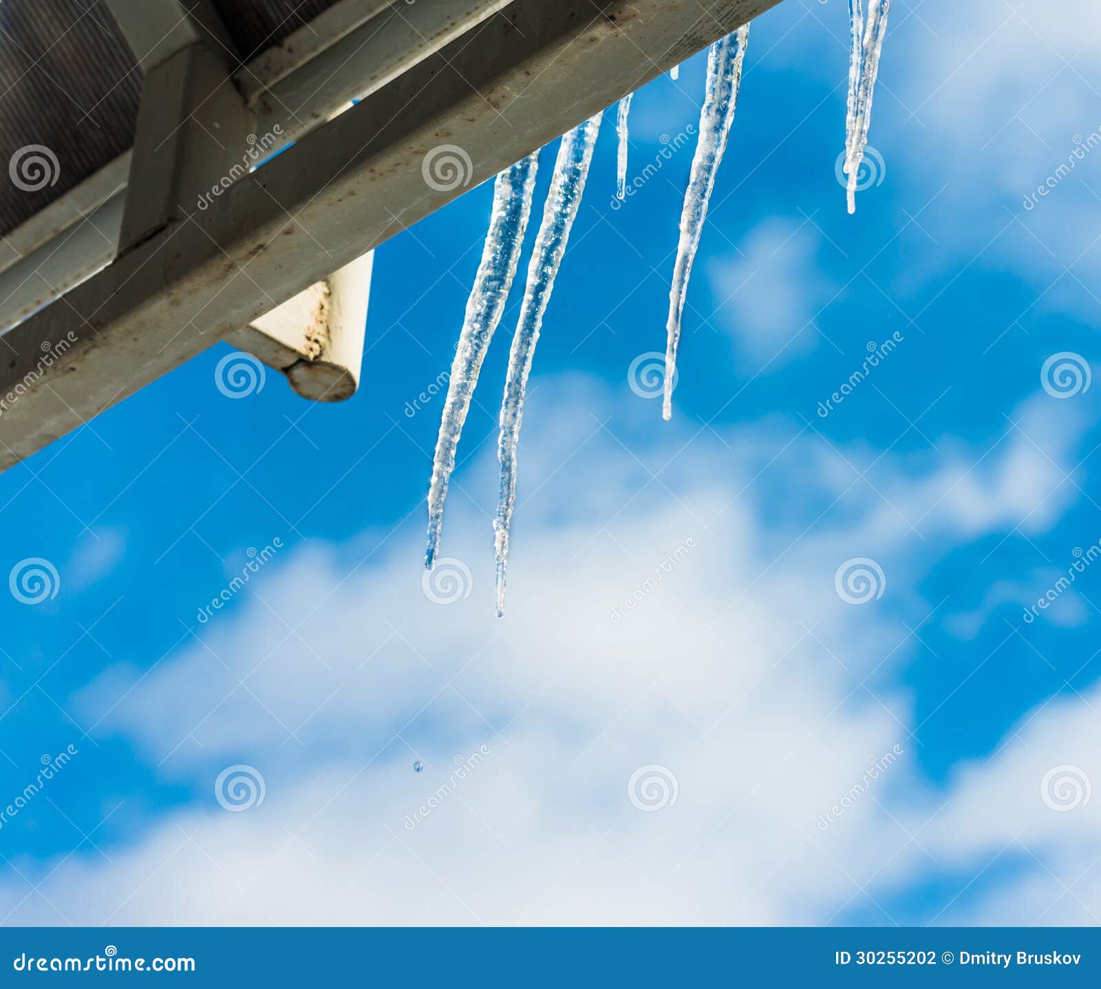 An icicle in the sun stock photo. Image of transparent - 30255202