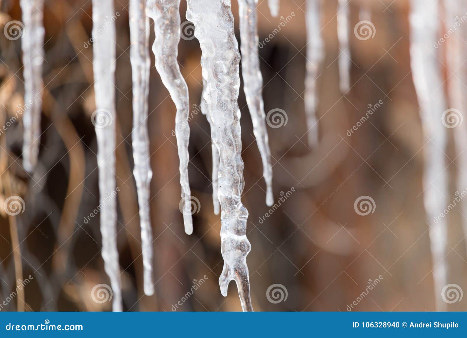 Icicles on nature stock photo. Image of frozen, danger - 106328940