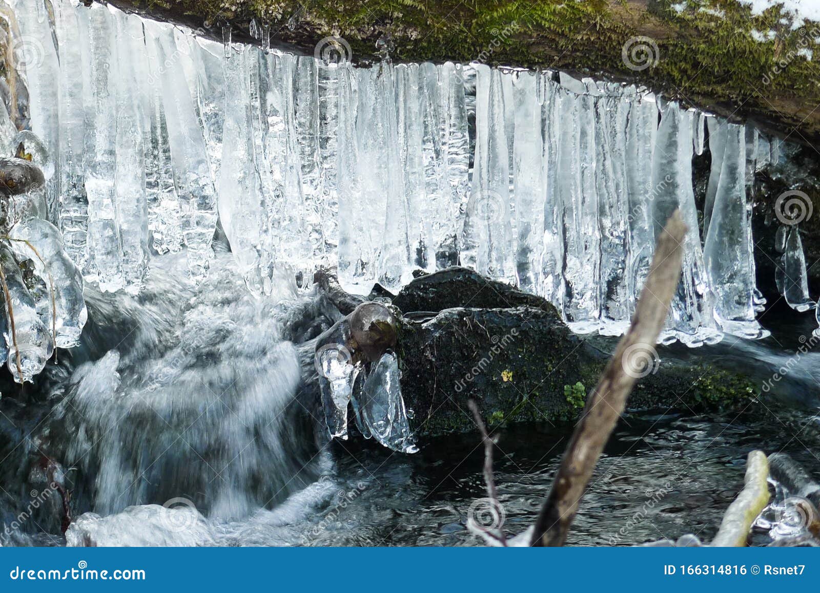 Icicles over a creek stock photo. Image of crystal, fluid - 166314816