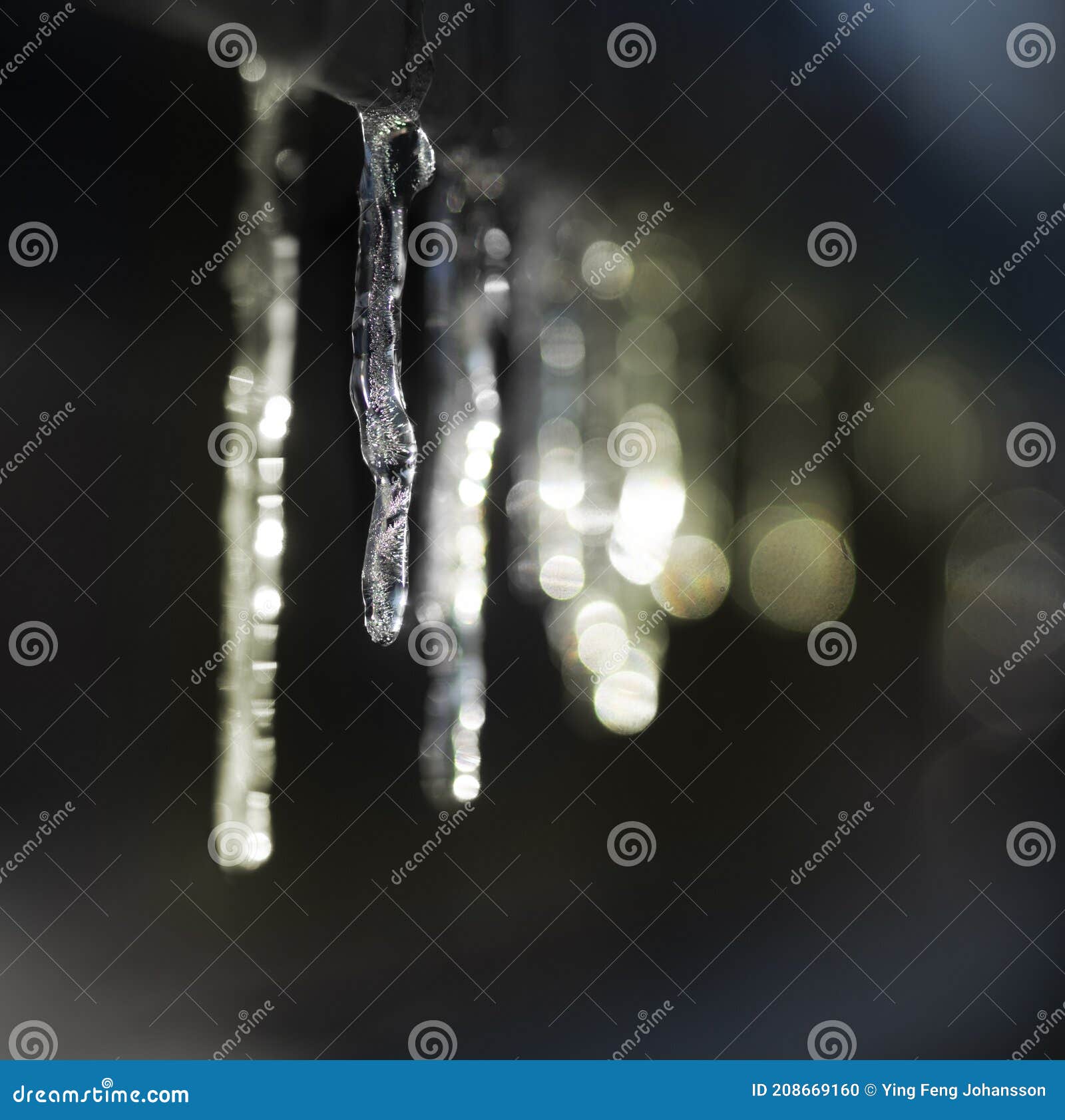 Icicles Reflecting Sunlight Stock Photo - Image of icicle, sunshine ...