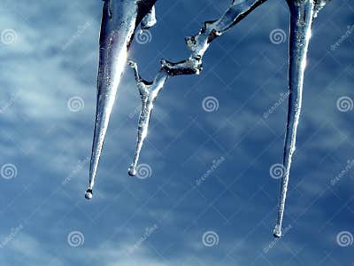 Icicles. simple as that. stock photo. Image of clean, cold - 89110