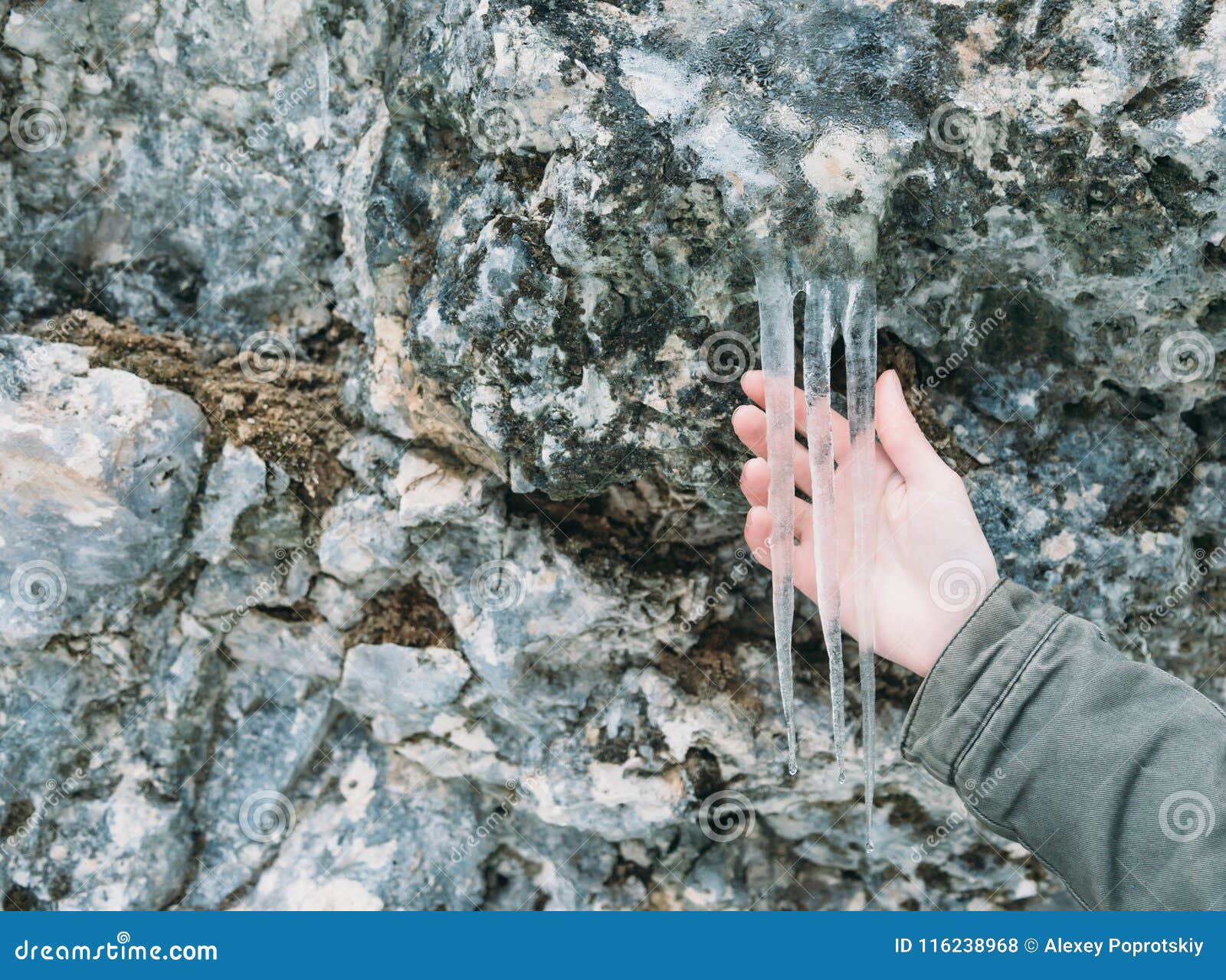 Icicles on stone wall. stock photo. Image of woman, wall - 116238968