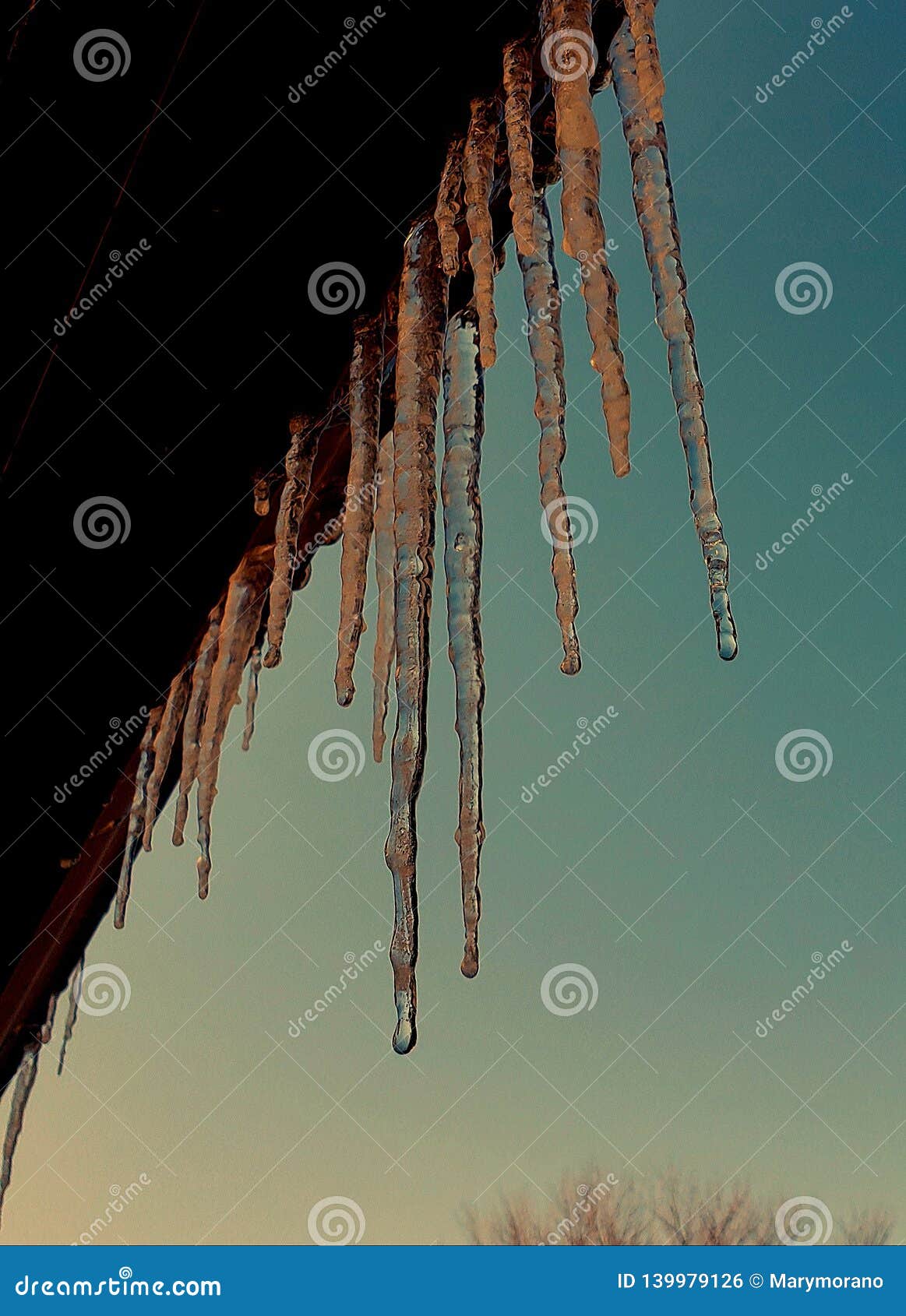Icicles in the Sun stock photo. Image of roof, icicles - 139979126