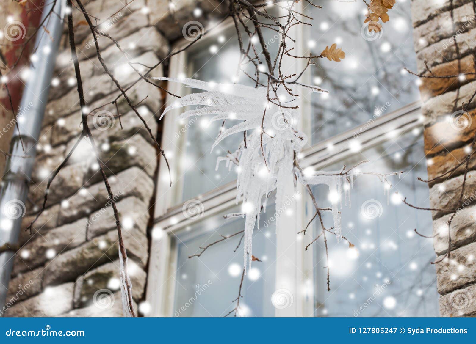 Icicles on Tree Branch Over Window Stock Image - Image of town, vintage ...