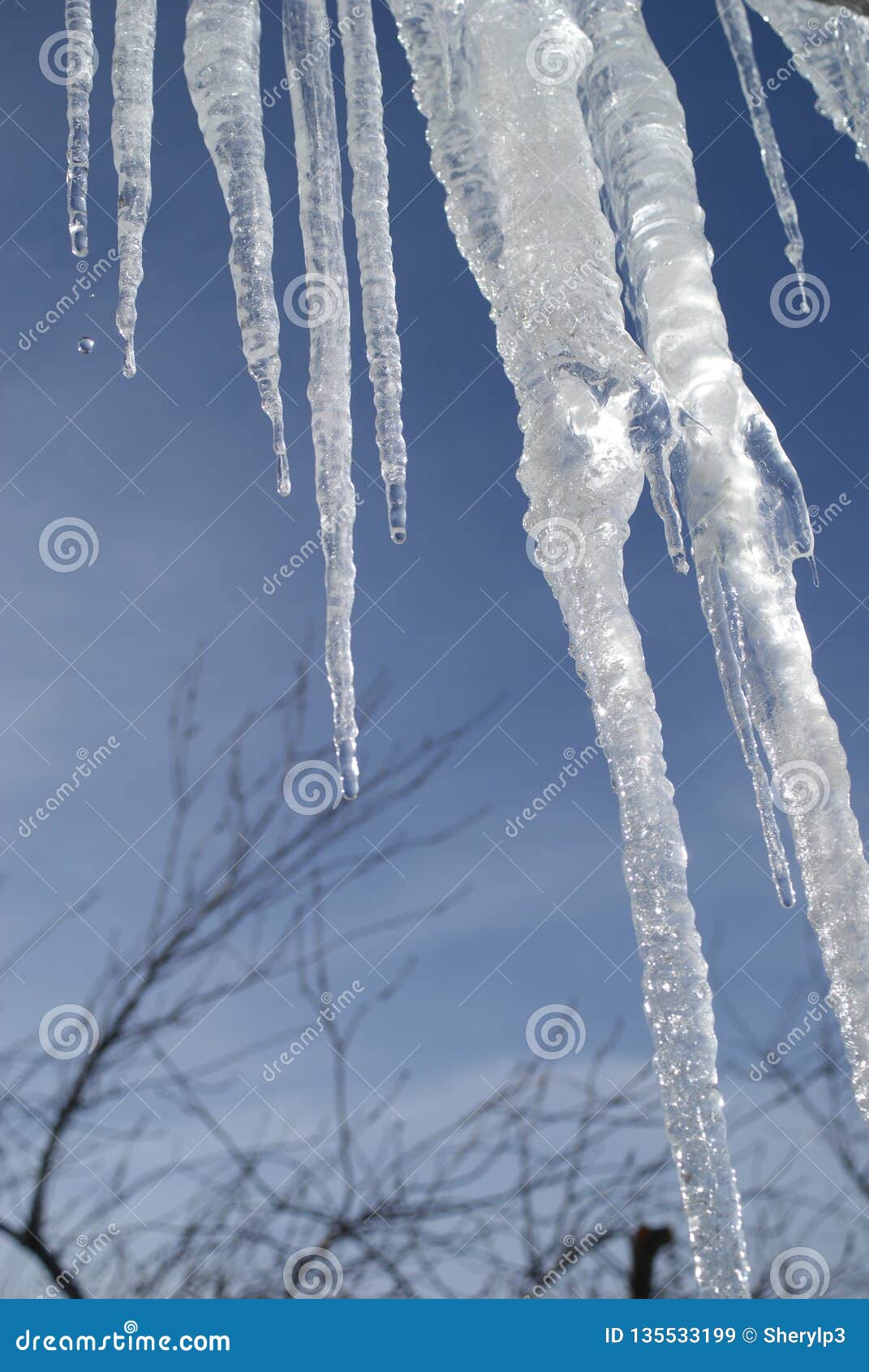 Icicles on a Wintry Day stock image. Image of dripping - 135533199