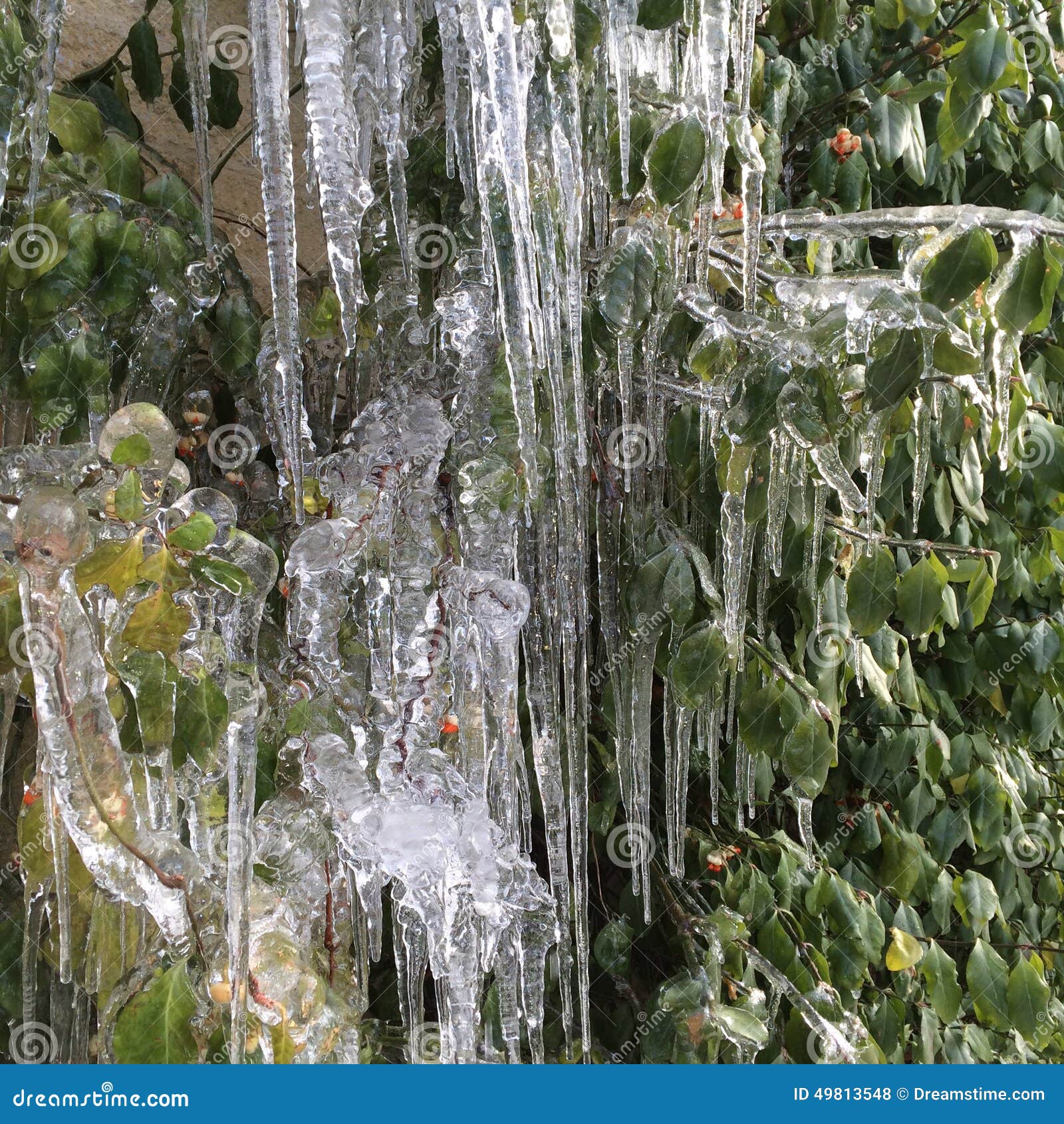 Icicles stock photo. Image of icicles, winter, frigid - 49813548