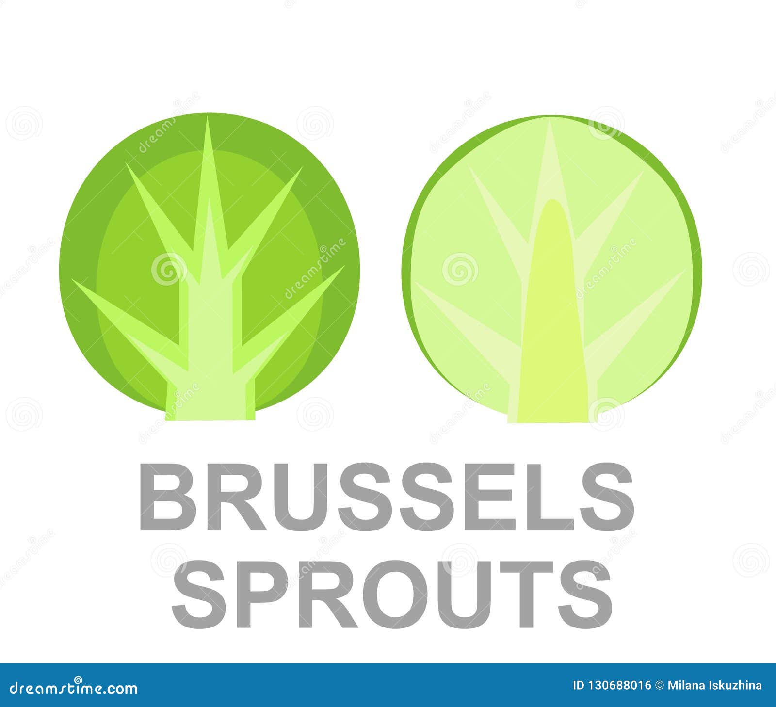 Icon Brussels Sprouts Whole and Section Stock Vector - Illustration of ...