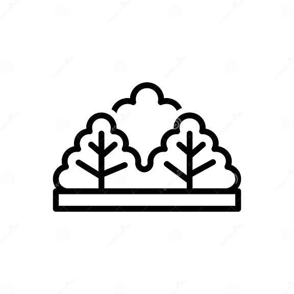 Black Line Icon for Bush, Shrub and Ecology Stock Vector - Illustration ...