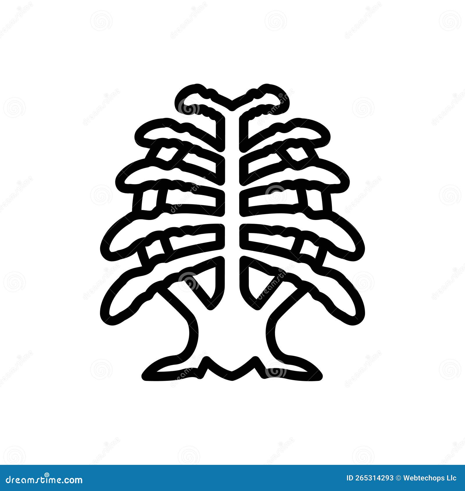 Black Line Icon for Cedar, Leaf and Arborvitae Stock Illustration ...