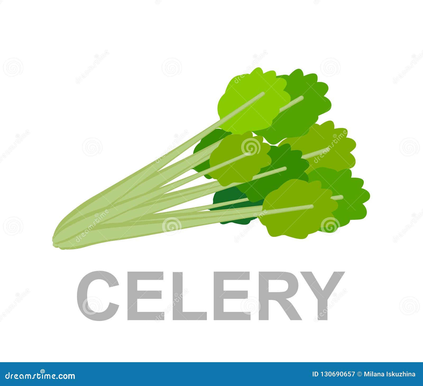 Icon Celery Whole and Section Stock Vector - Illustration of natural ...