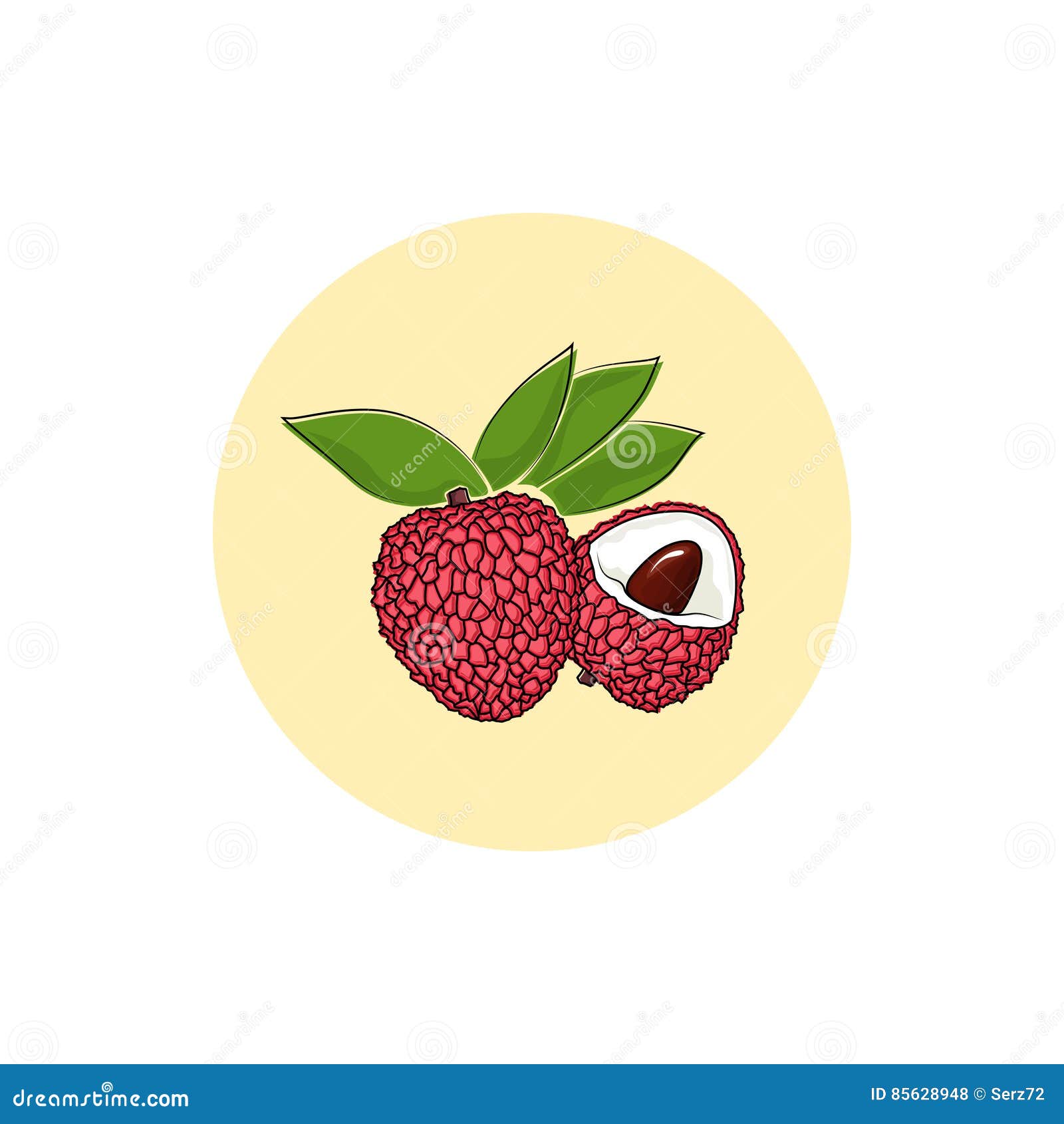 Icon Colorful Lichee stock vector. Illustration of ecology - 85628948