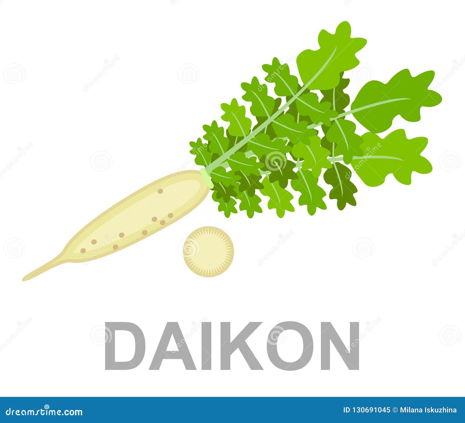 Icon Daikon Whole and Section Stock Vector - Illustration of daikin ...