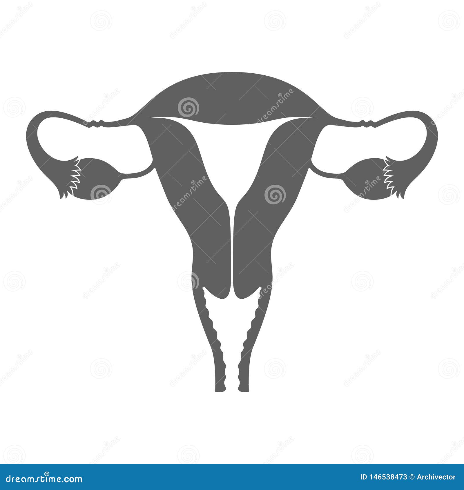 Female Reproductive System Icon Stock Vector Illustration Of Health