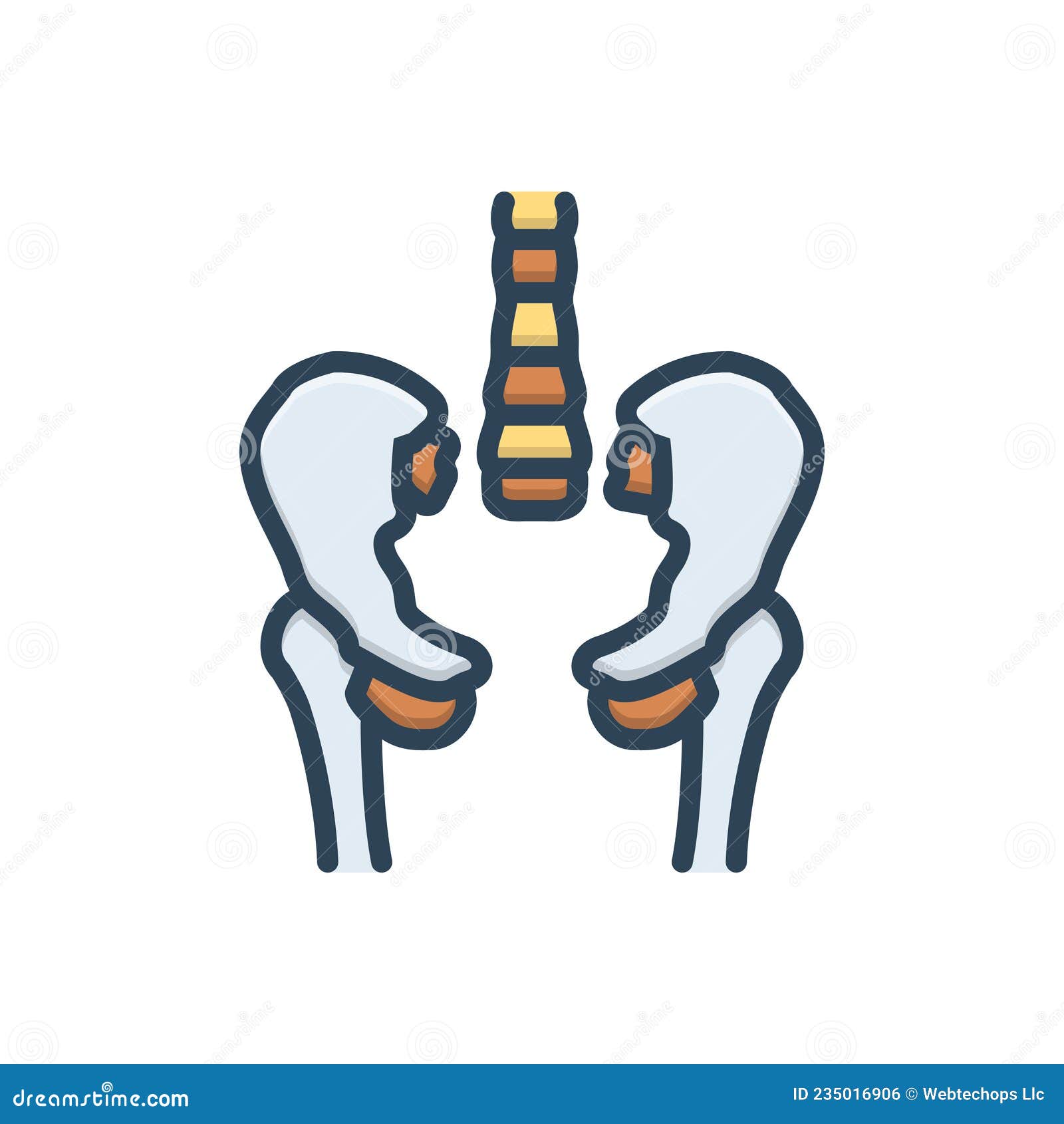 Color Illustration Icon for Hip, Skeleton and Bone Stock Illustration ...