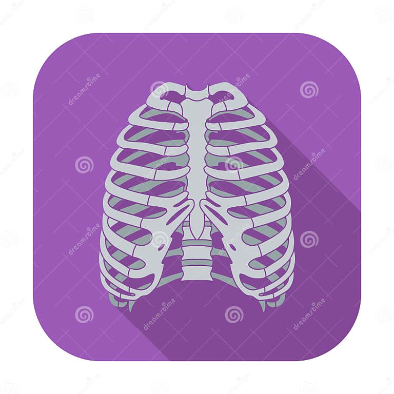 Icon of human thorax. stock vector. Illustration of thorax - 91620467