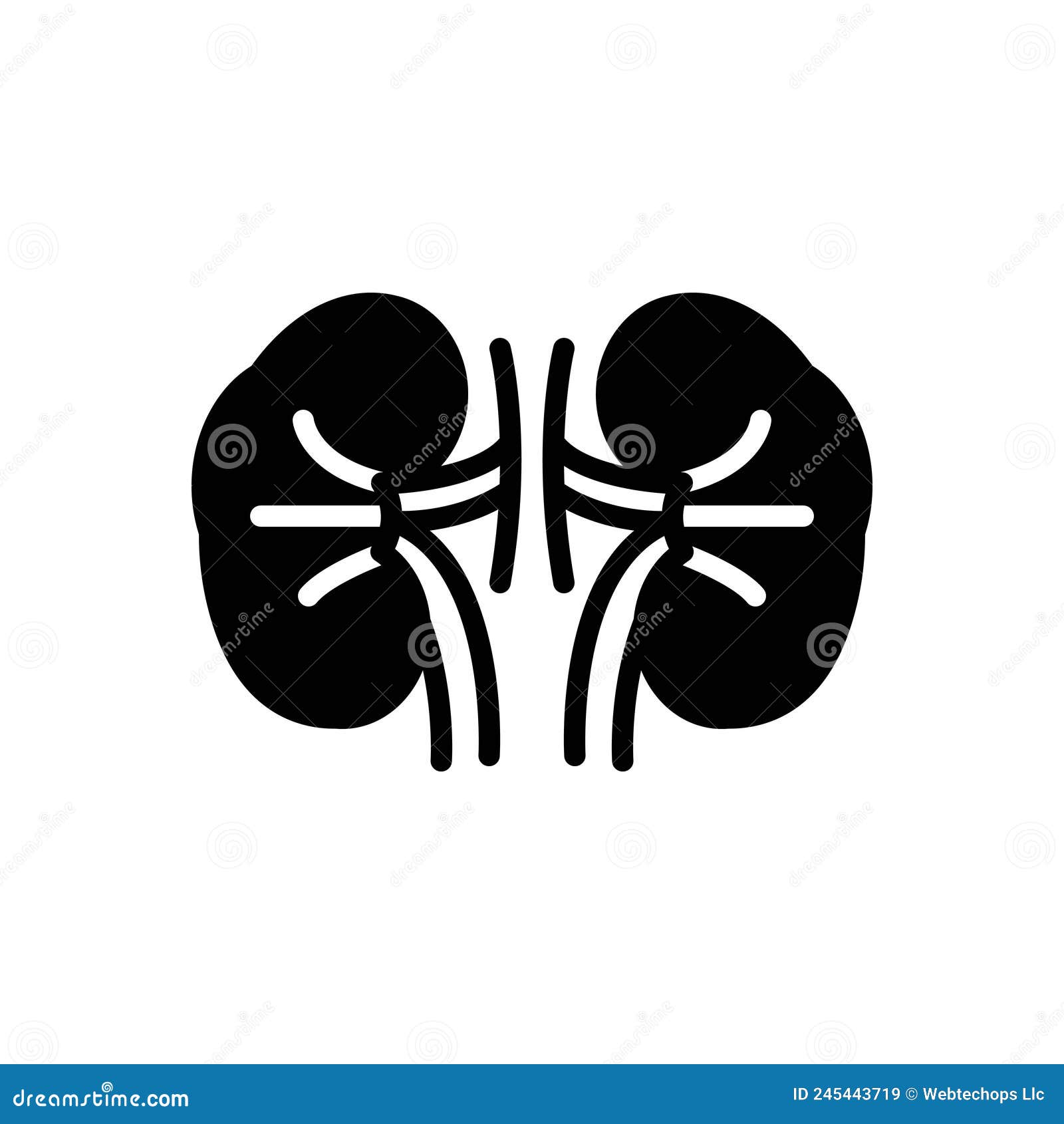 Black Solid Icon for Kidney, Renal and Anatomy Stock Vector ...