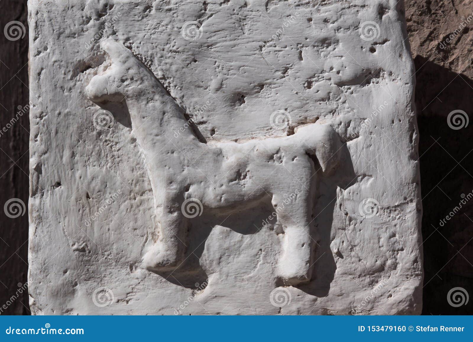 Icon Lama stock photo. Image of information, note, symbol - 153479160