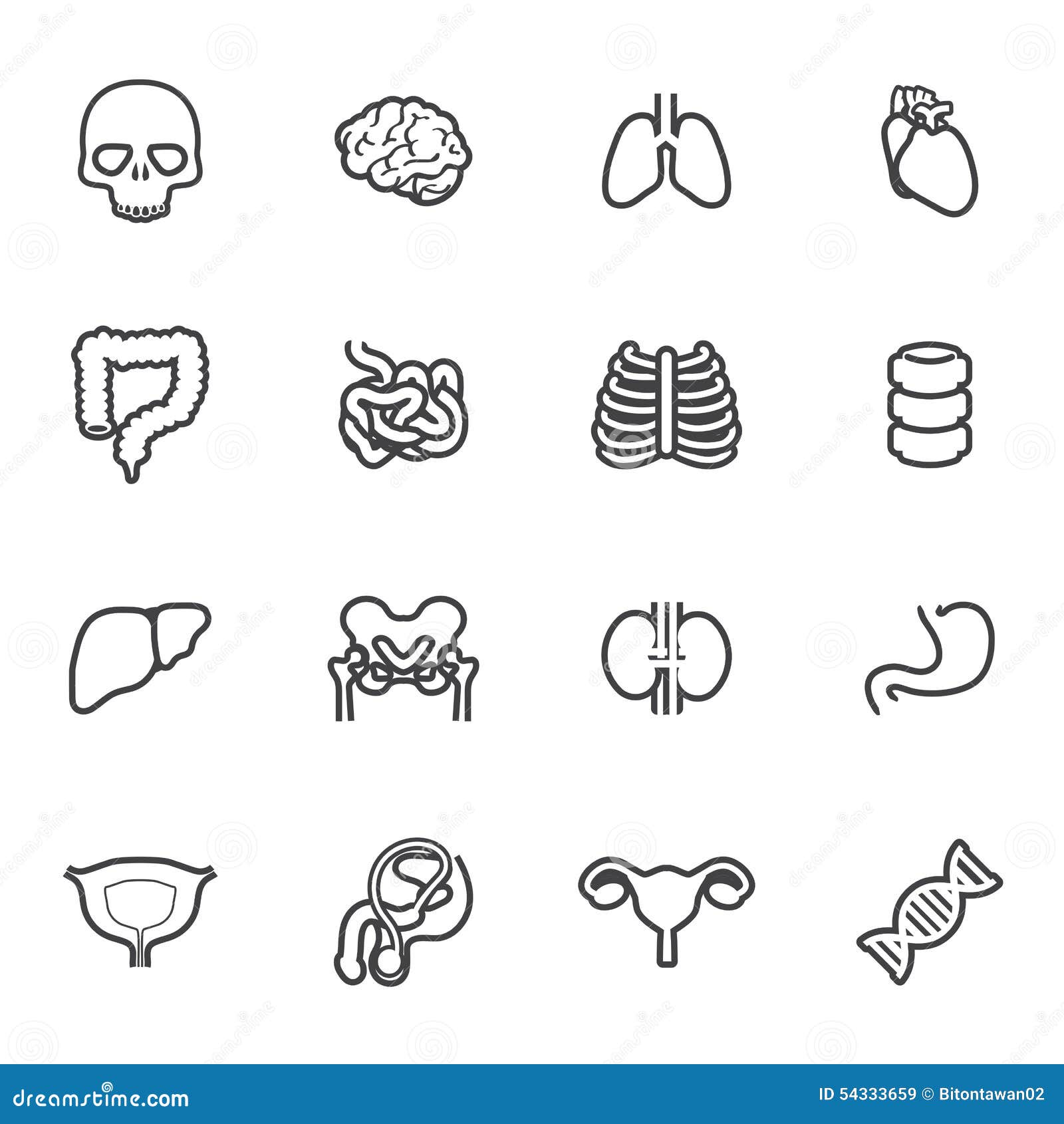 Icon organ medical set stock vector. Illustration of joints - 54333659
