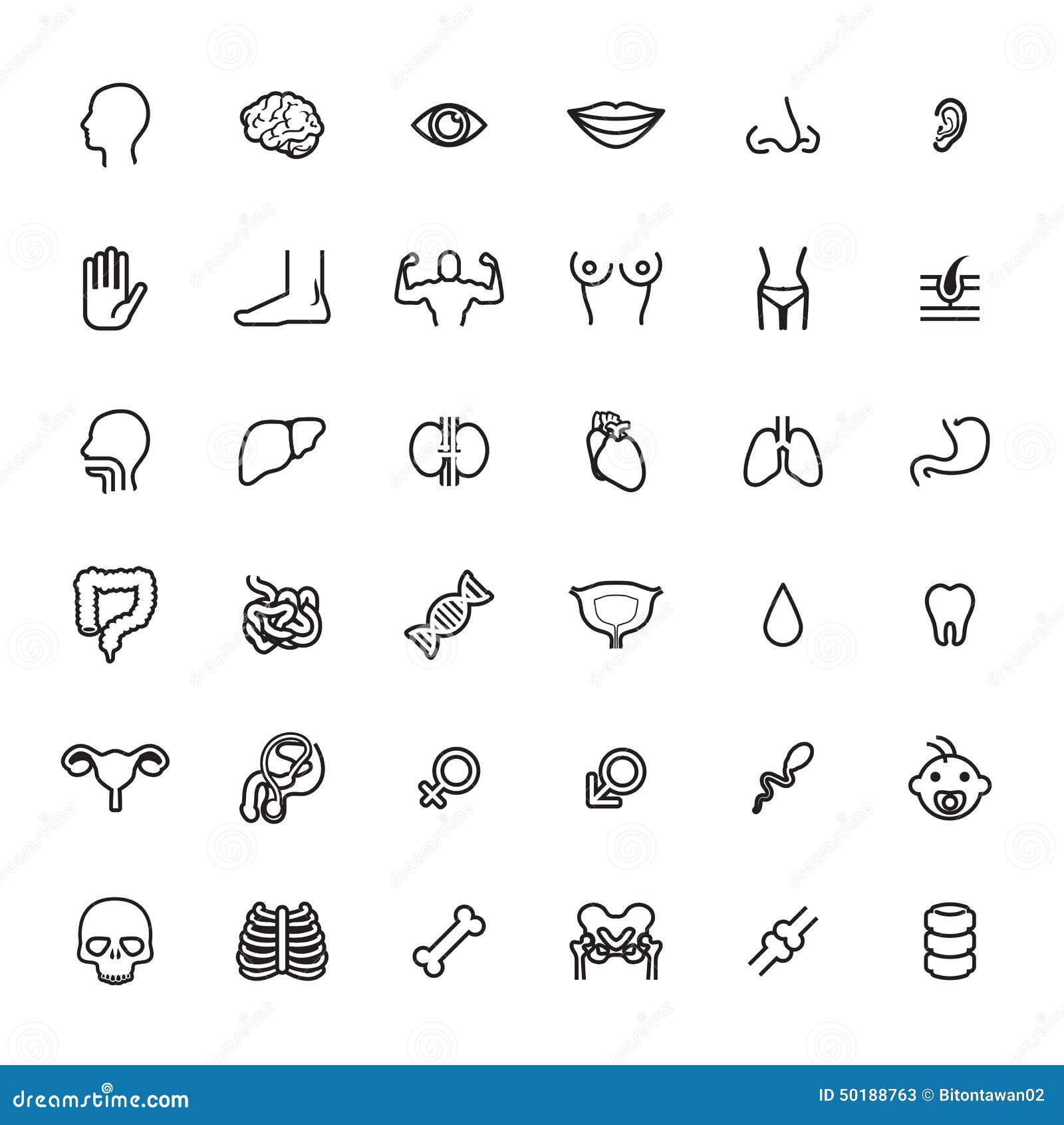 Icon organ set stock vector. Illustration of icons, hands - 50188763