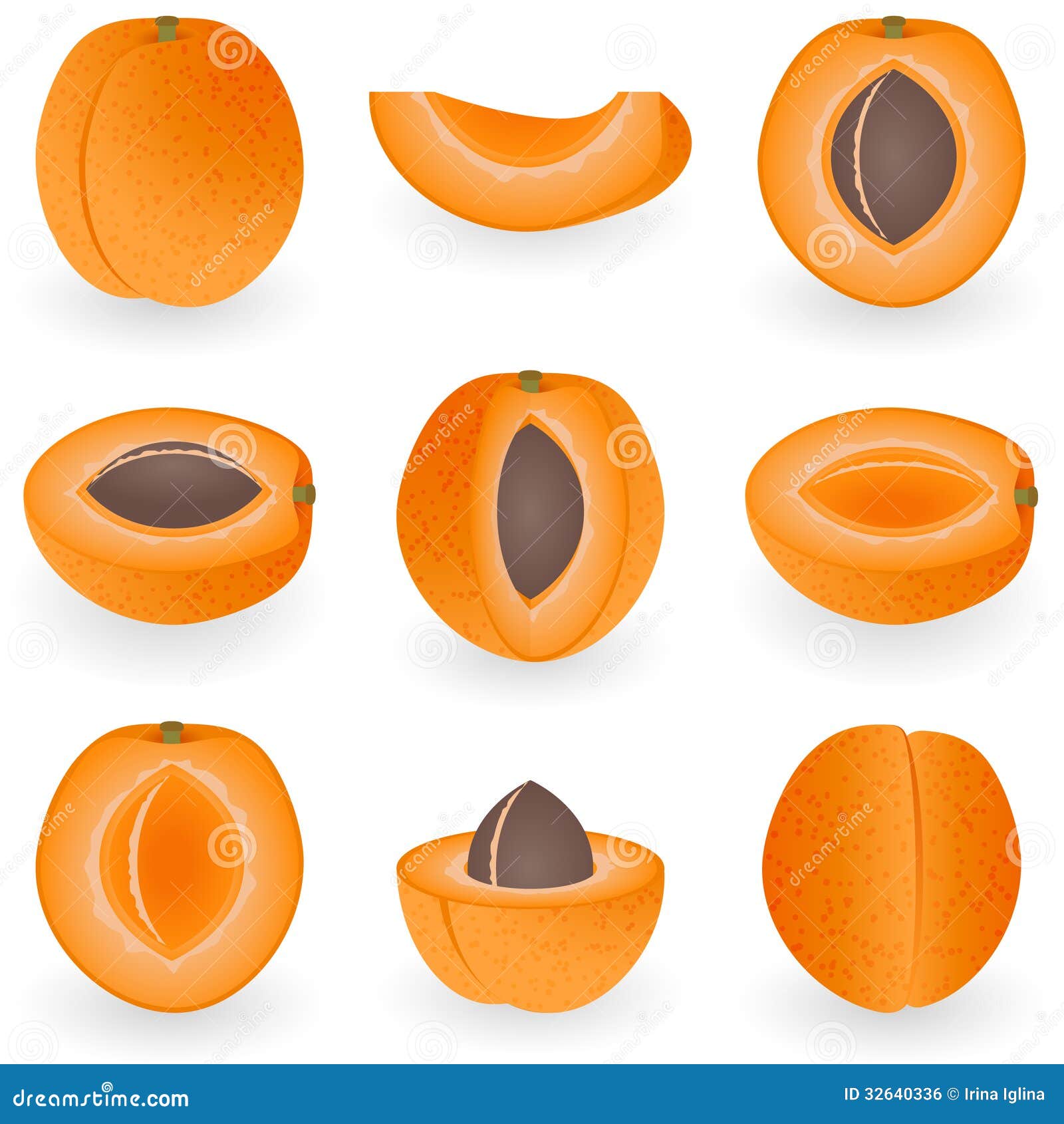 Icon Set Apricot stock vector. Illustration of pieces - 32640336