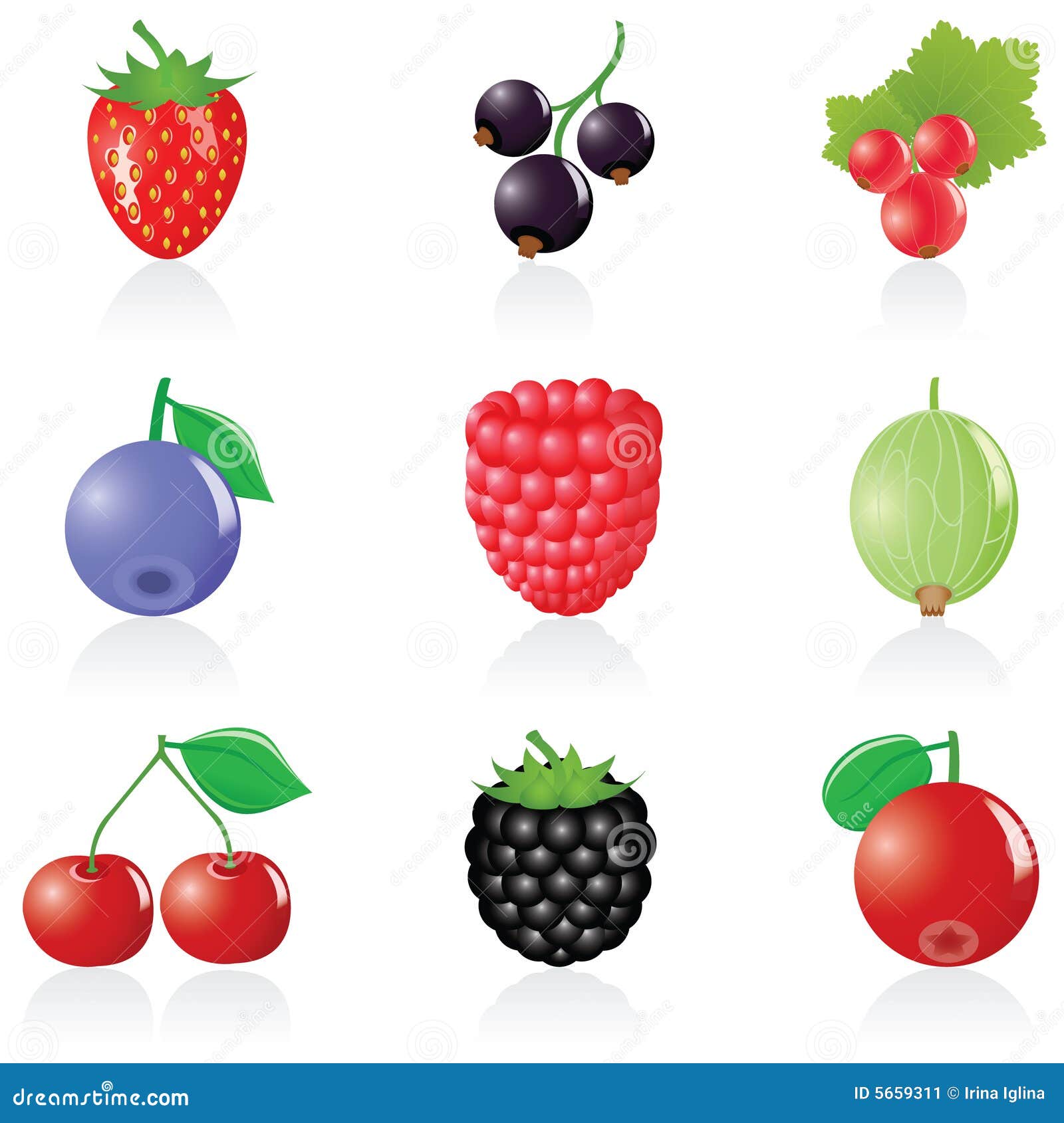 Icon set Berries stock vector. Illustration of agriculture - 5659311