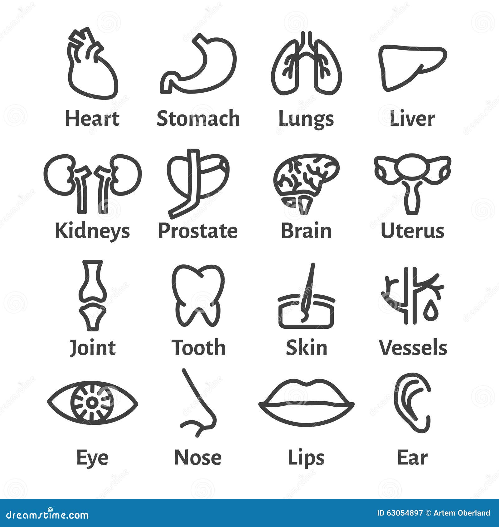 Icon Set of Human Organs stock vector. Illustration of infographic ...