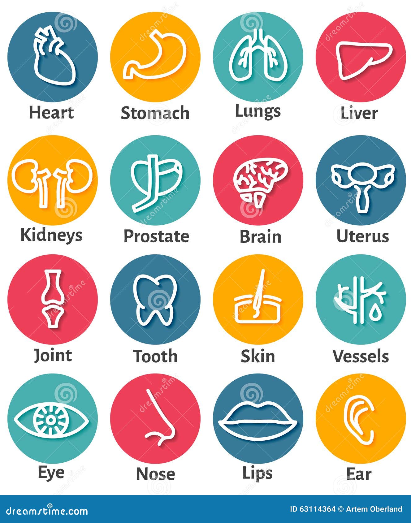 Icon Set of Human Organs stock vector. Illustration of organs - 63114364