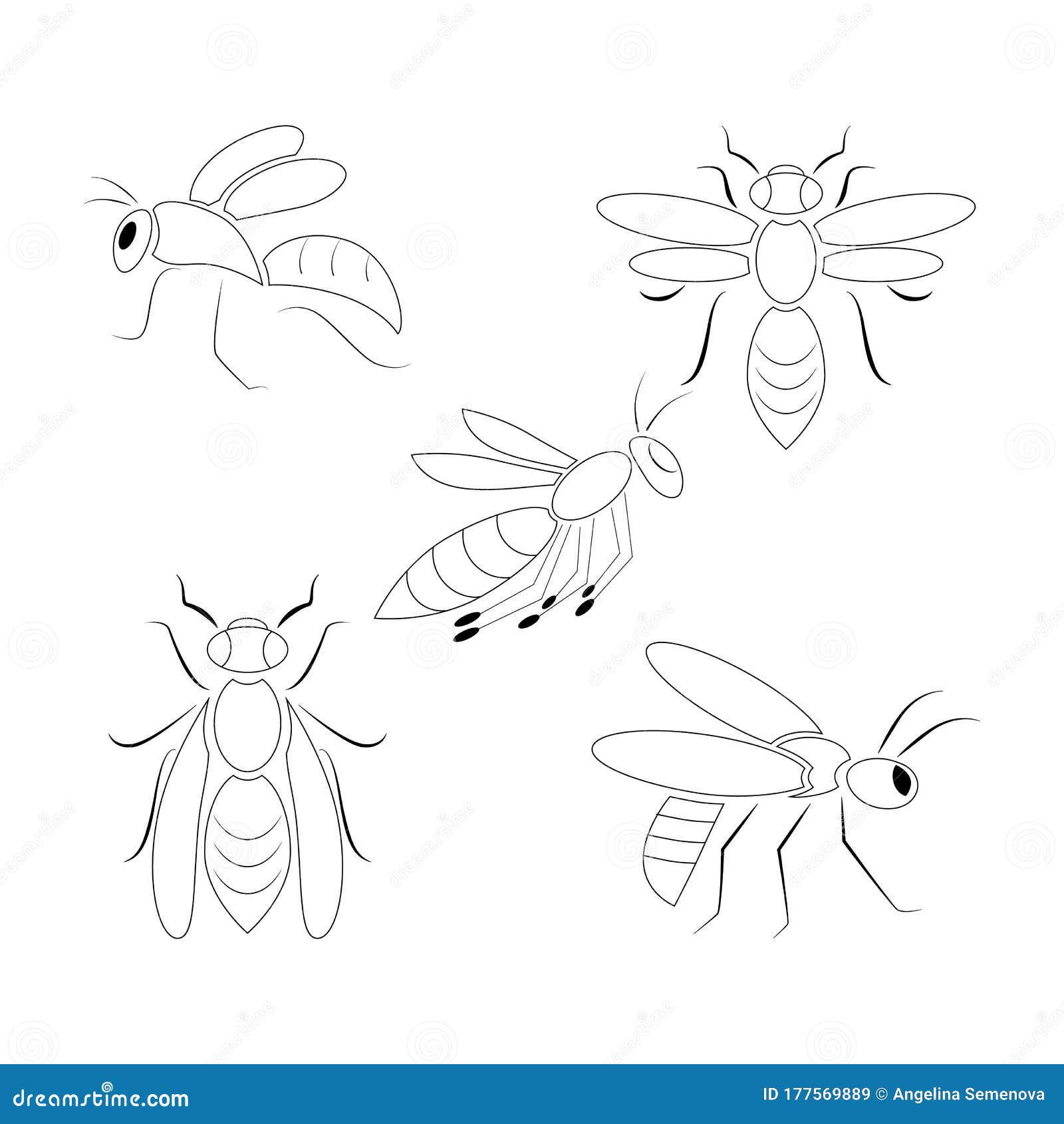 Wasps Vector Logo Set Simple Design Black And White Stencil Insects ...