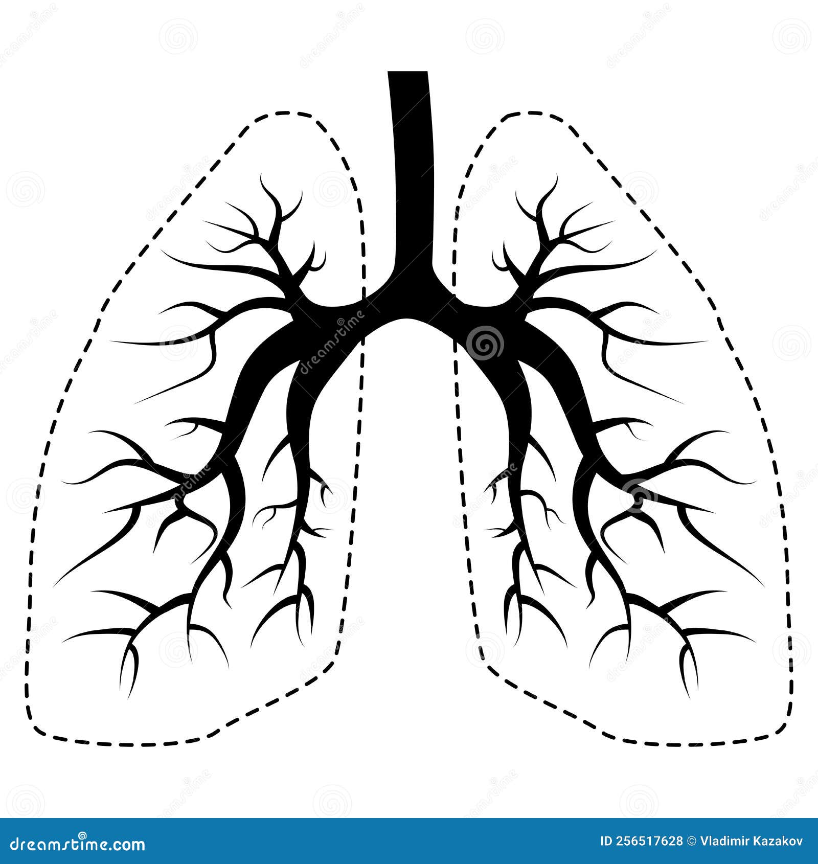 Icon with Silhouette of Bronchi and Contours of Lungs Isolated on White ...