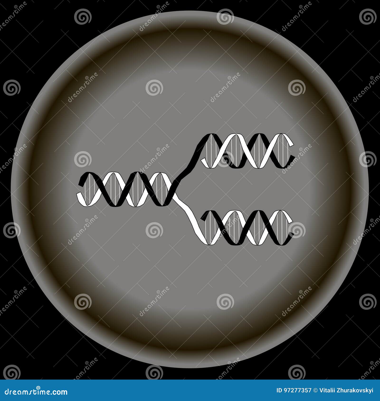 Icon White Black Replication DNA on Grey Plate. Stock Illustration ...