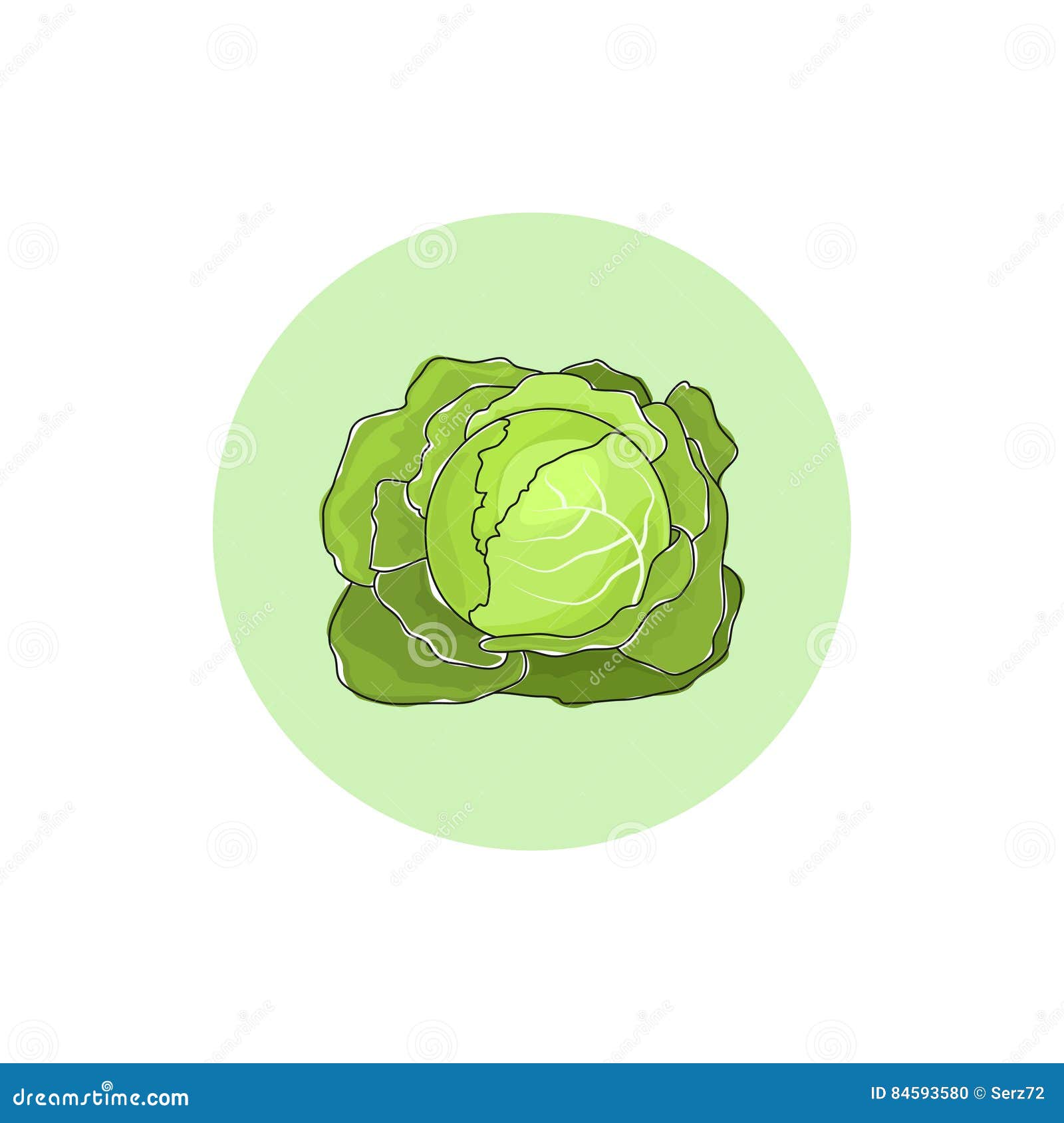 Icon White Cabbage Vegetable Stock Vector - Illustration of icon ...