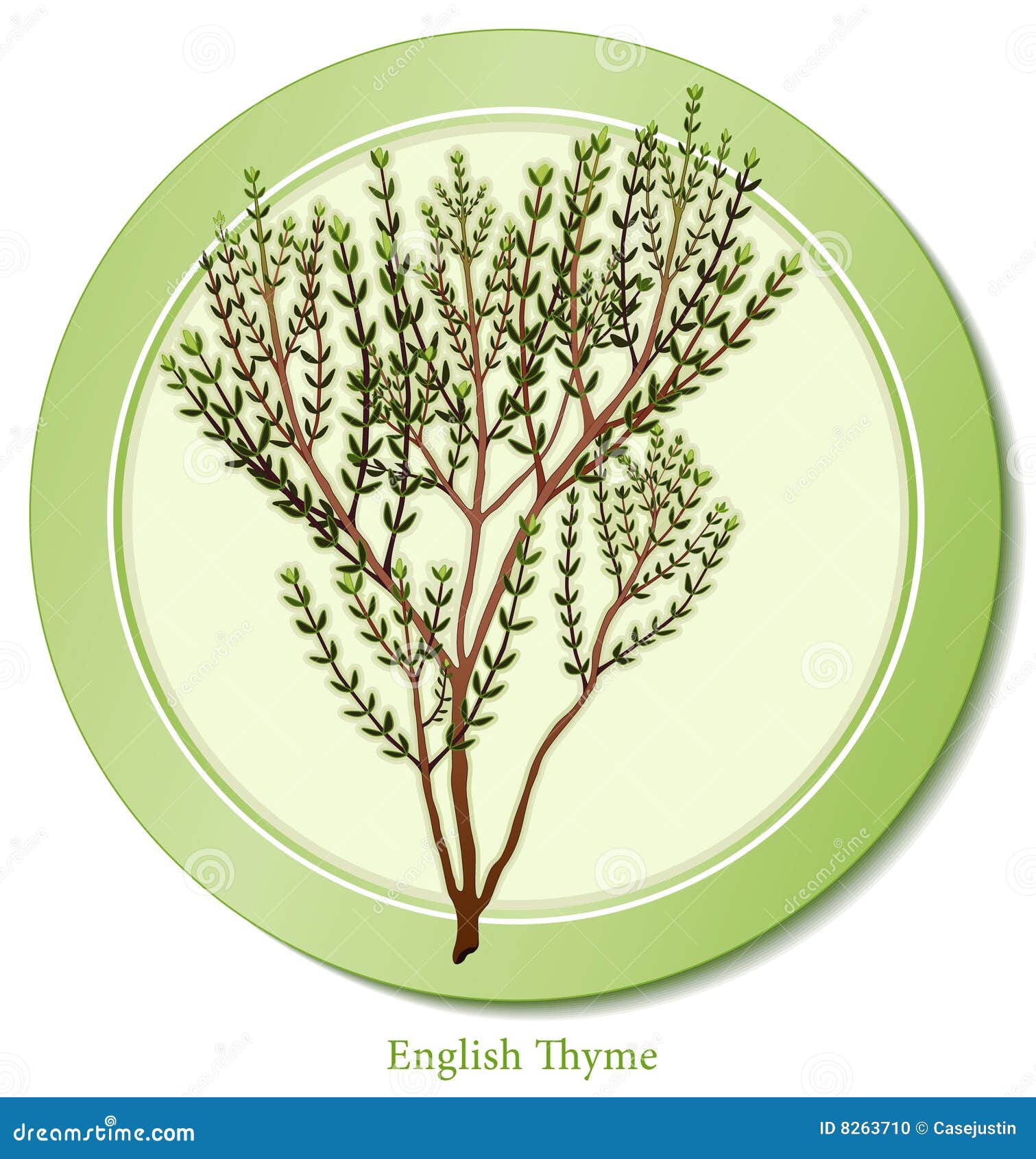 Icona Inglese Del Timo Di +EPS Illustrazione Vettoriale - Illustrazione ...