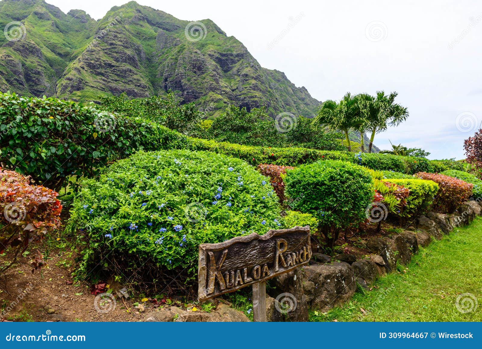 Iconic Kualoa Ranch in Hawaii, USA. Stock Image - Image of landscape ...
