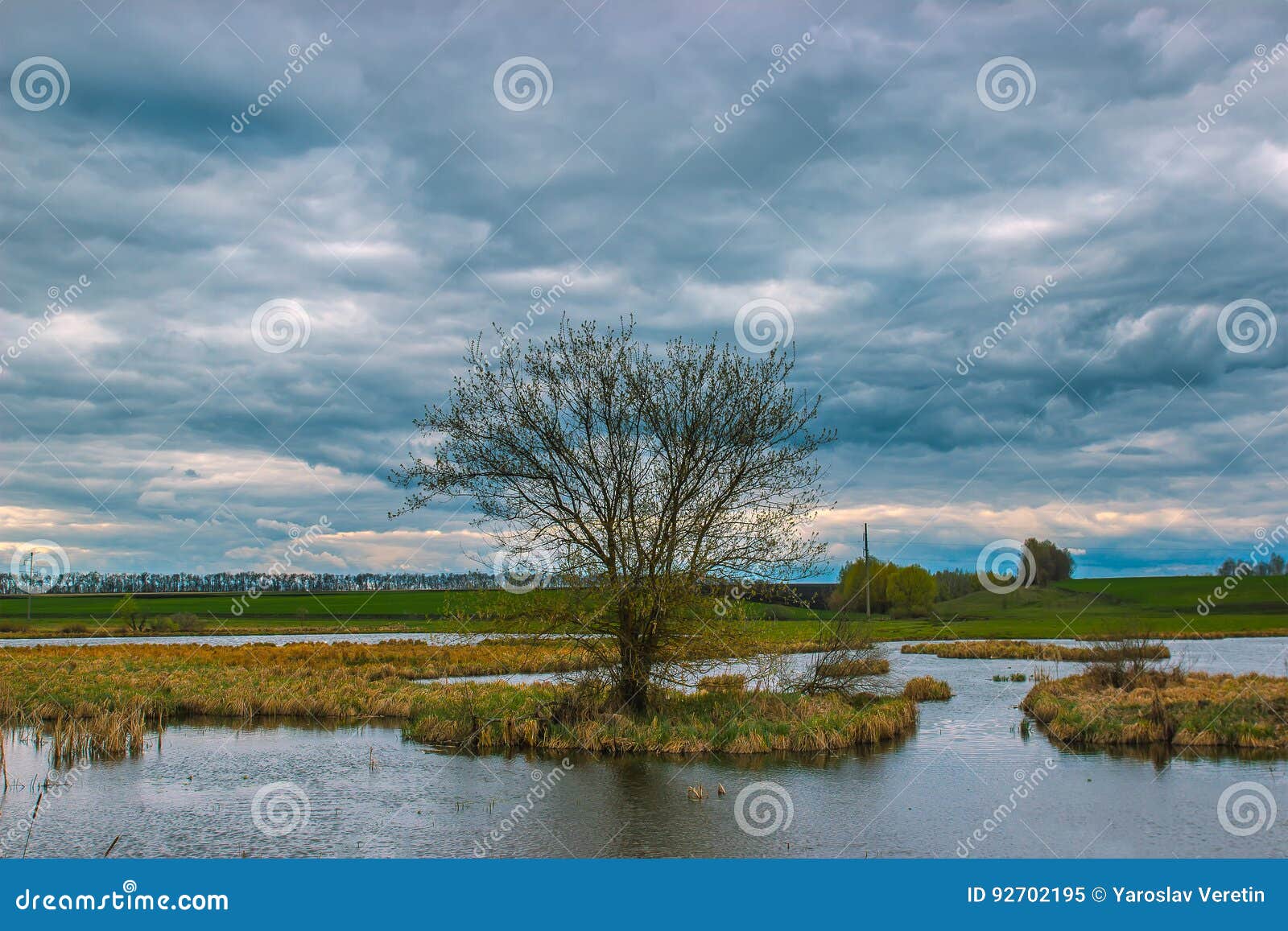 Iconic Tree Of Life Symbol Woodden Handmade Stock Photo | CartoonDealer ...